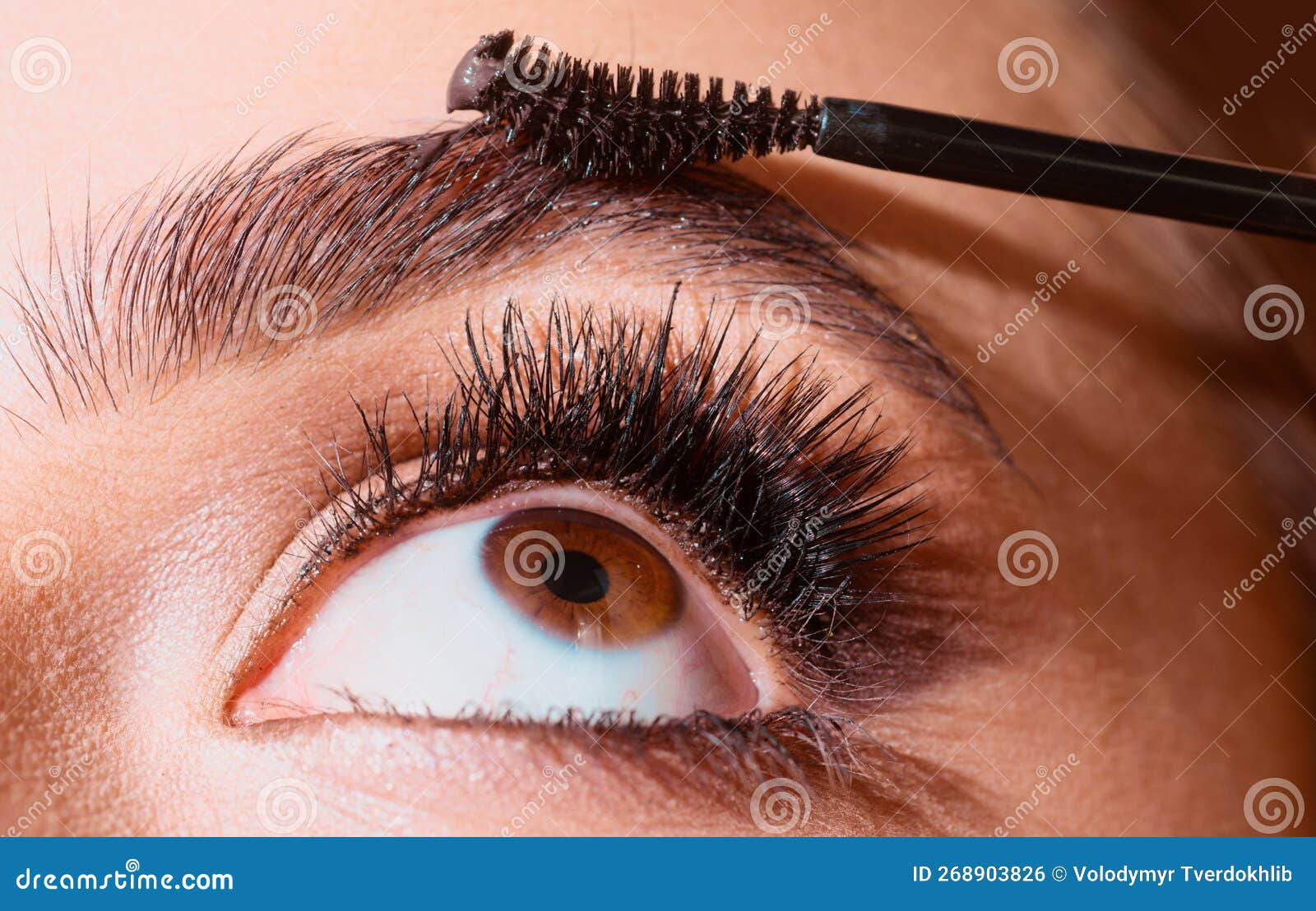 Combs Eyebrows with a Brush in a Beauty Salon. Woman with Long ...