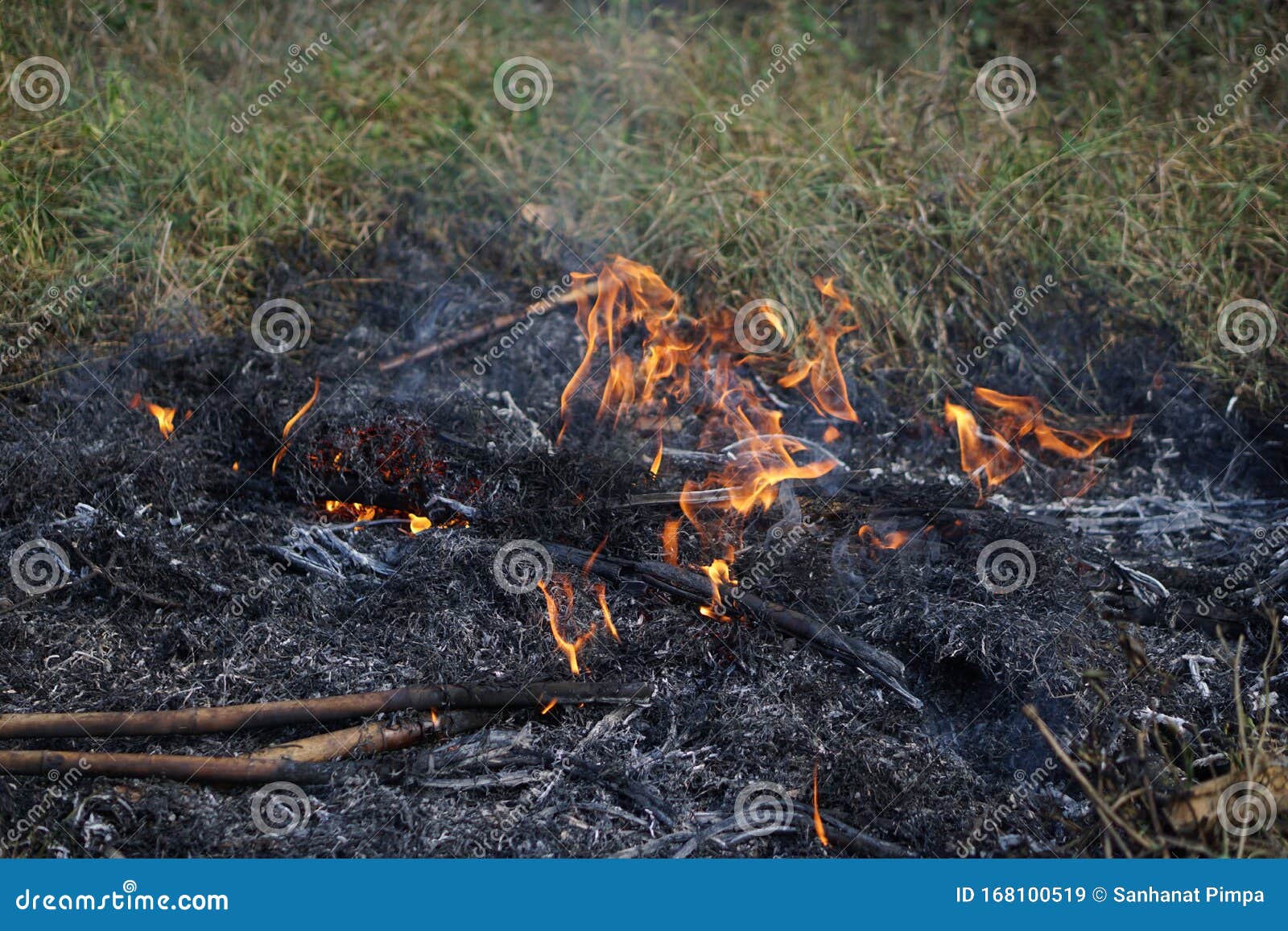 Burning Causes Pollution and Affects the Environment Somewhere in ...
