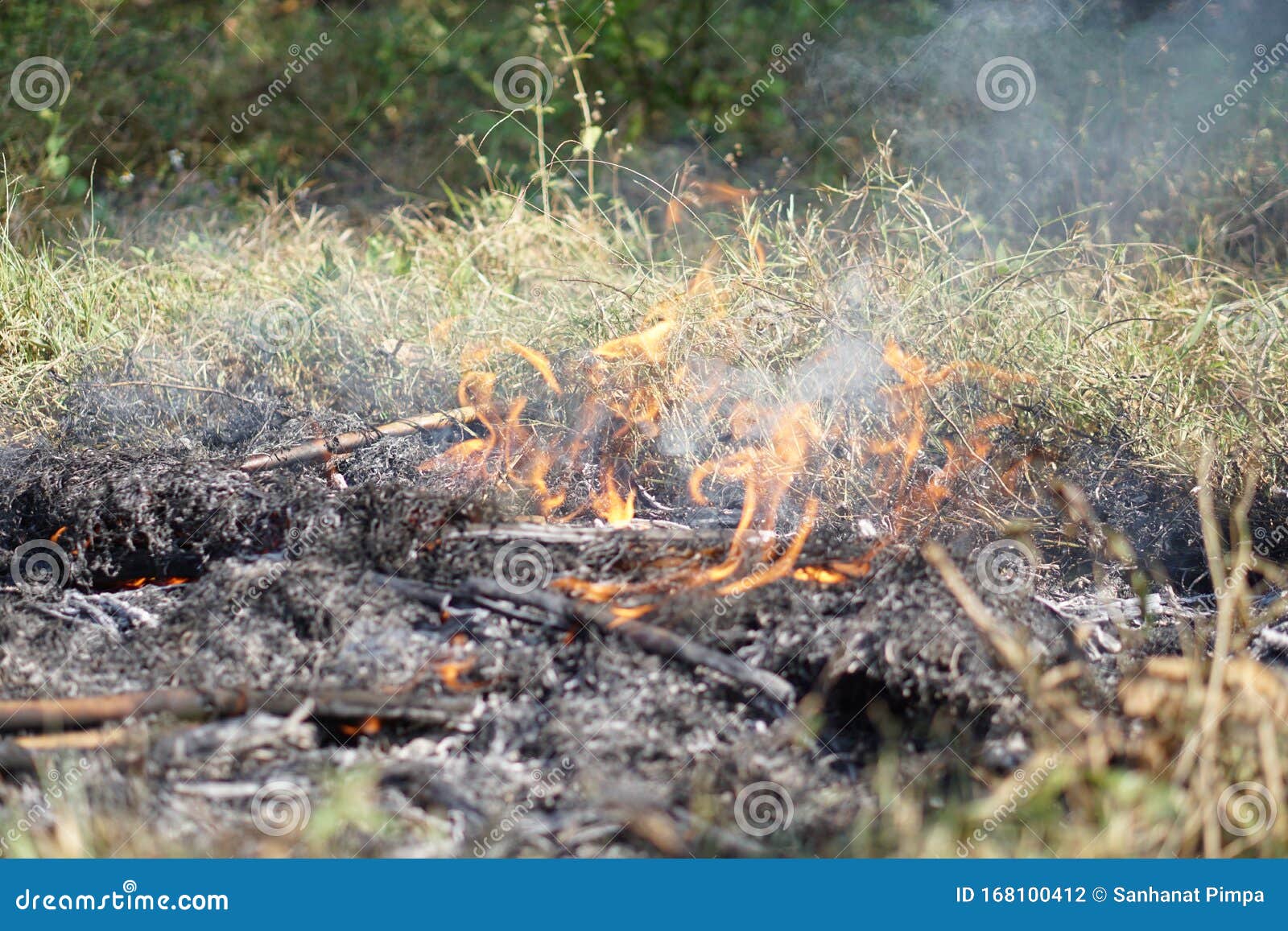 Burning Causes Pollution and Affects the Environment Somewhere in ...