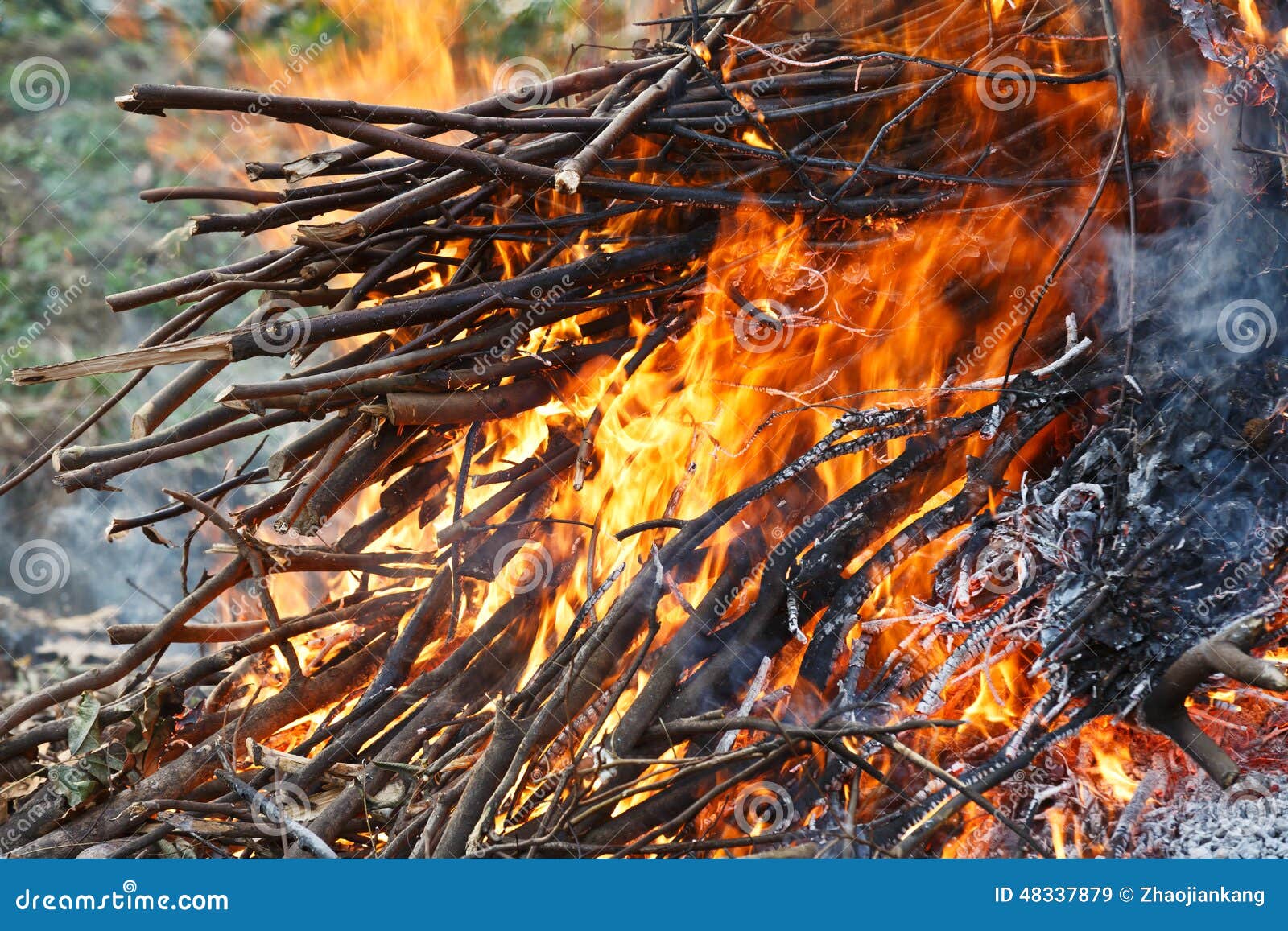 Combustion flame stock image. Image of stem, beautiful - 48337879