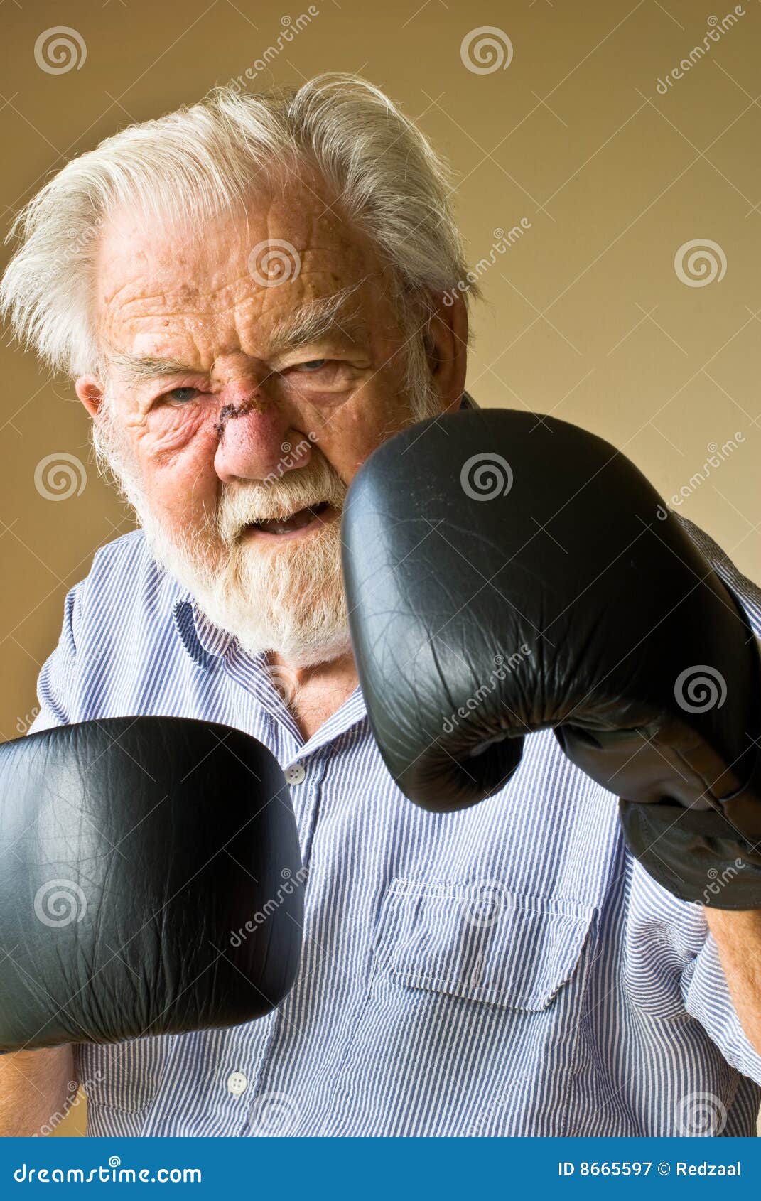 Come on, You Young Whipper-snapper! Stock Image - Image of sparring ...