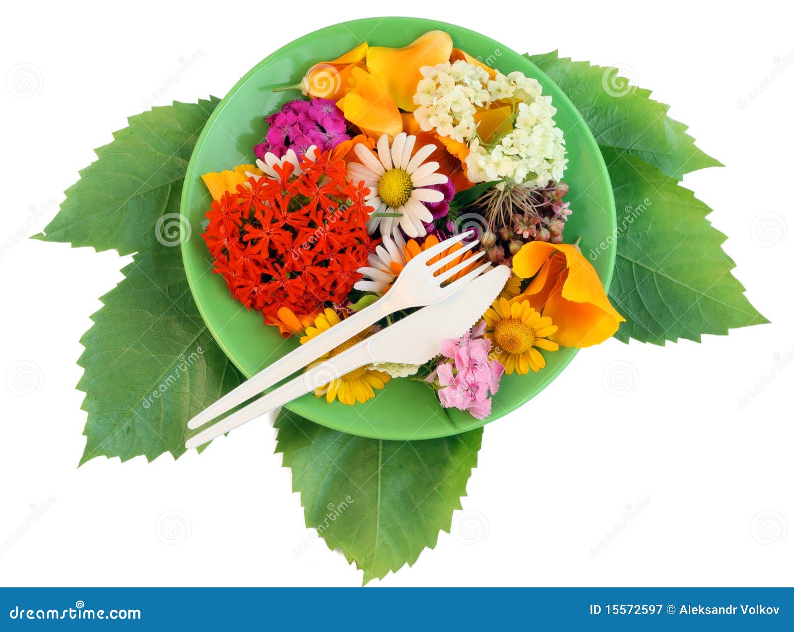 Comer das flores imagem de stock. Imagem de nave, vegetariano - 15572597
