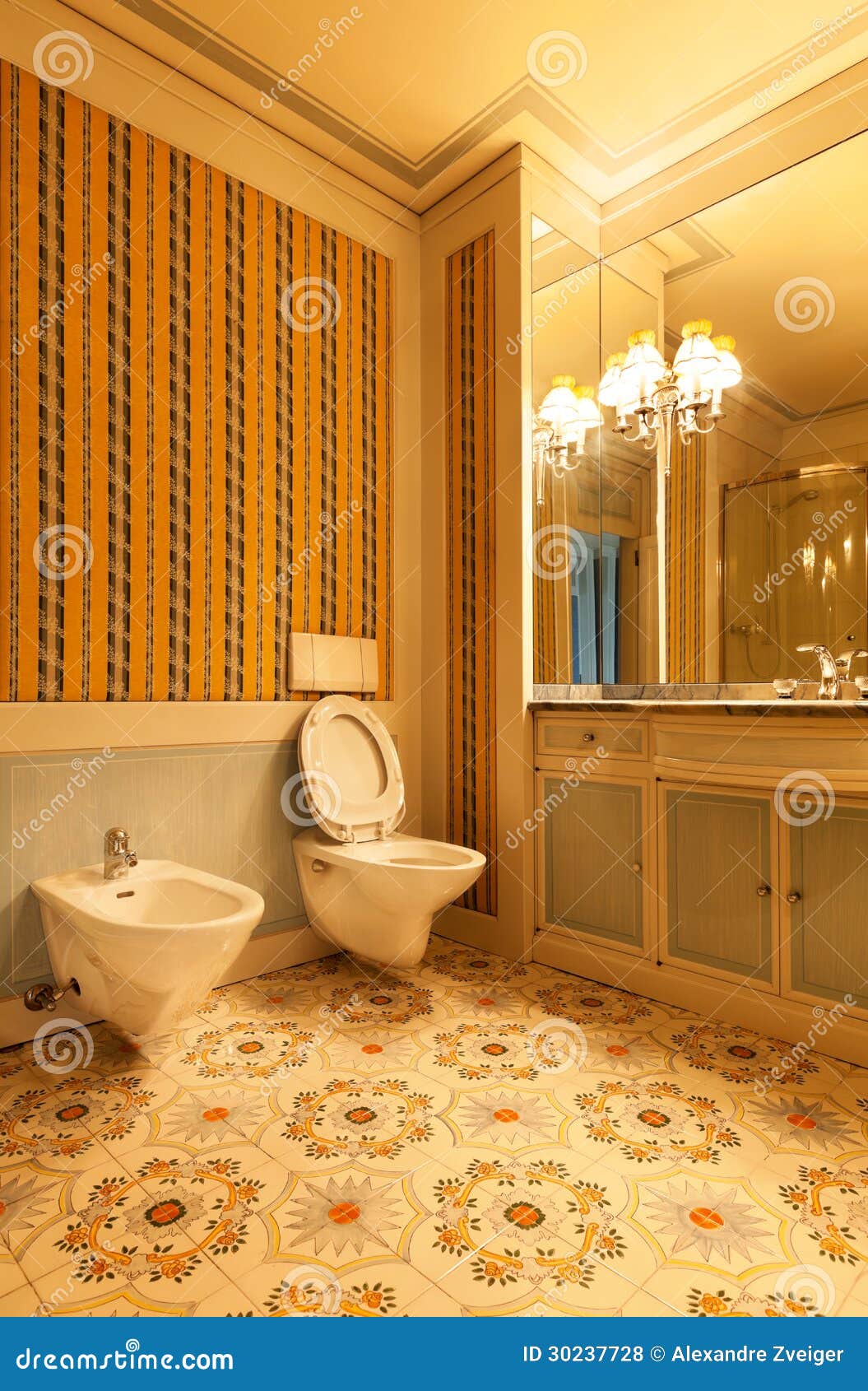 Toilet and bidet stock photo. Image of indoor, yellow - 30237728