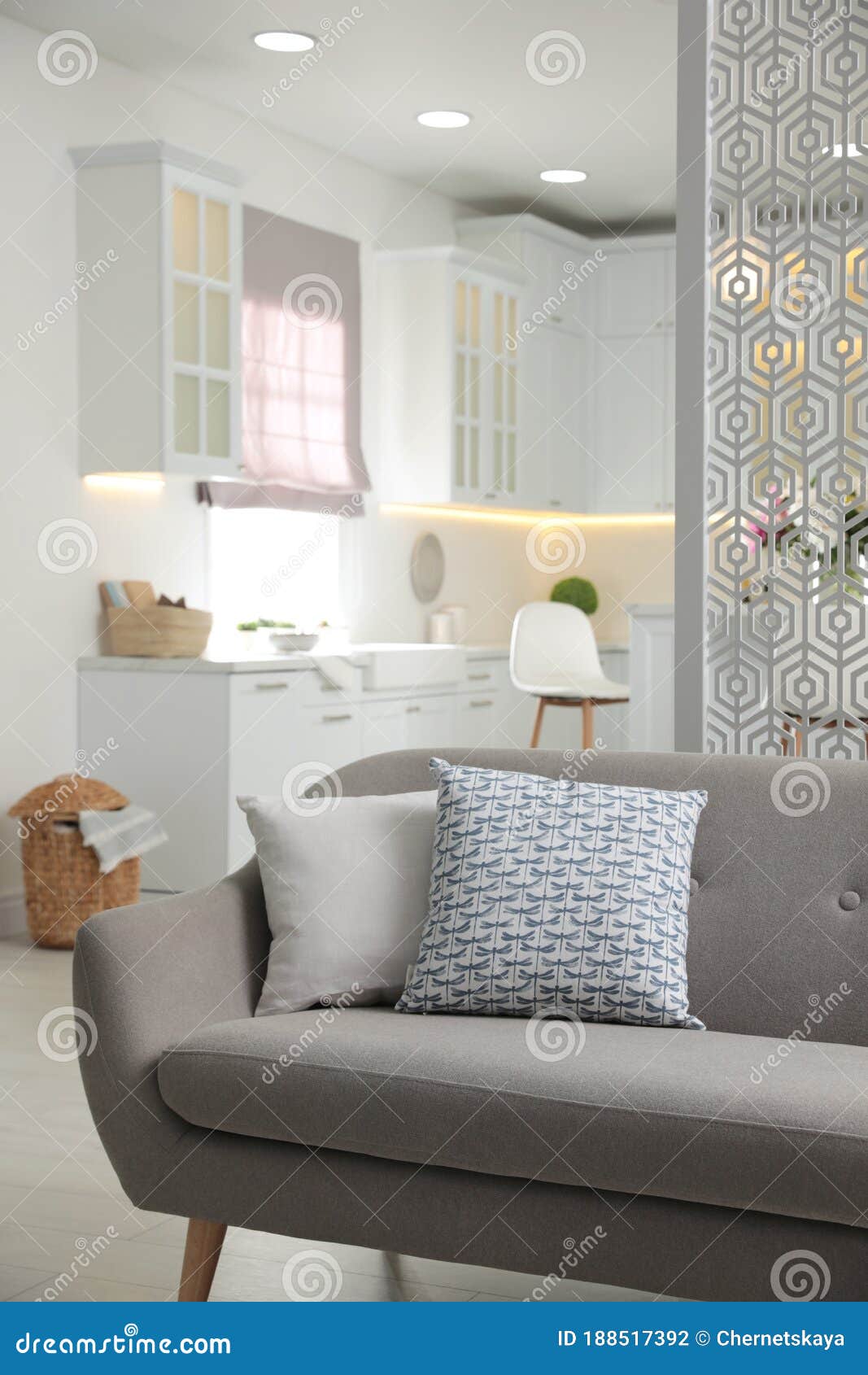 Sofa and Modern Kitchen in Apartment. Interior Design Stock Photo ...