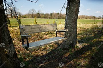 Comfortable Swing Bench between Two Trees Stock Image - Image of nature ...