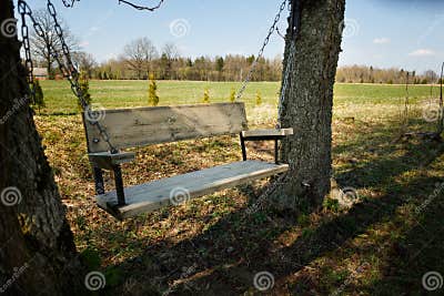 Comfortable Swing Bench between Two Trees Stock Image - Image of nature ...