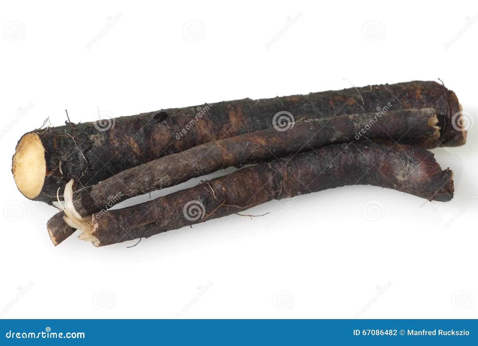 Comfrey; Common; Medicinal, Roots Stock Photo - Image of wurz, rhizome ...