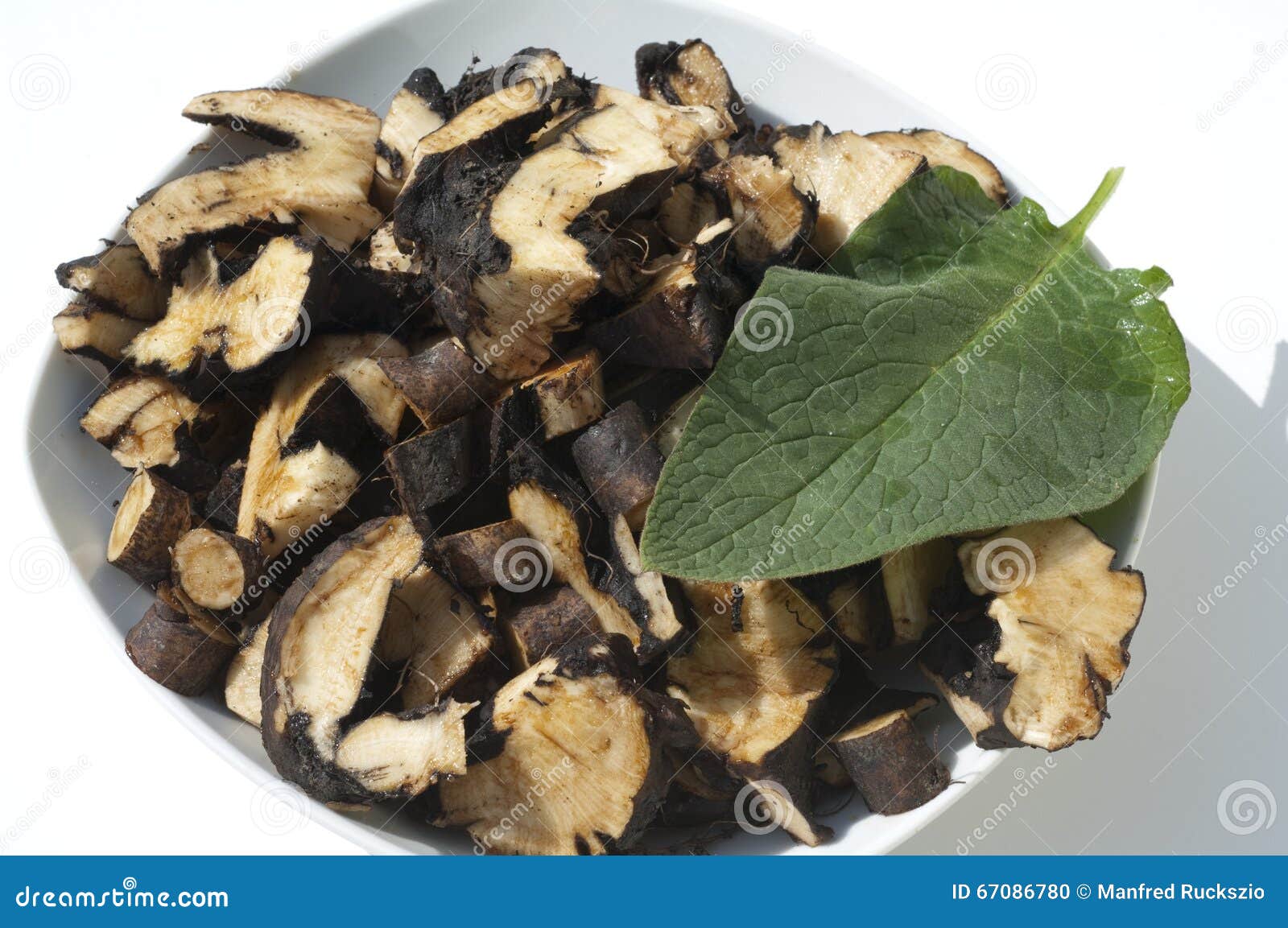 Comfrey; Common; Medicinal, Roots Stock Photo - Image of wild ...