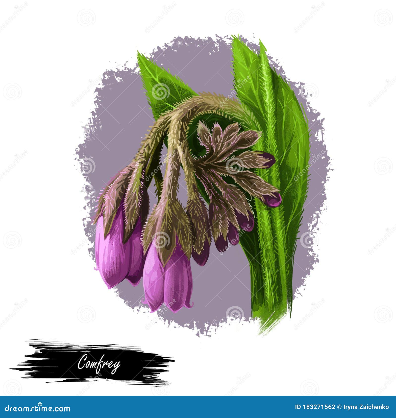 Quaker Cartoons, Illustrations & Vector Stock Images - 577 Pictures to ...