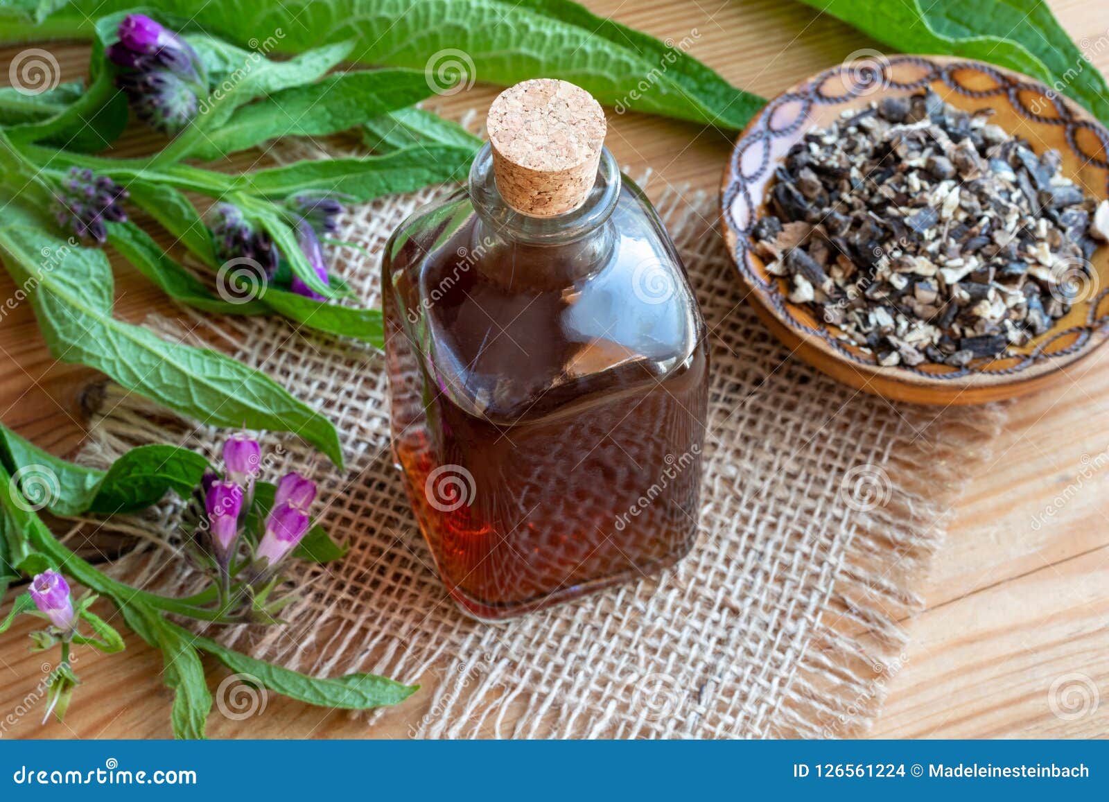 Comfrey Tincture with Dried Comfrey Root and Fresh Plant Stock Photo ...