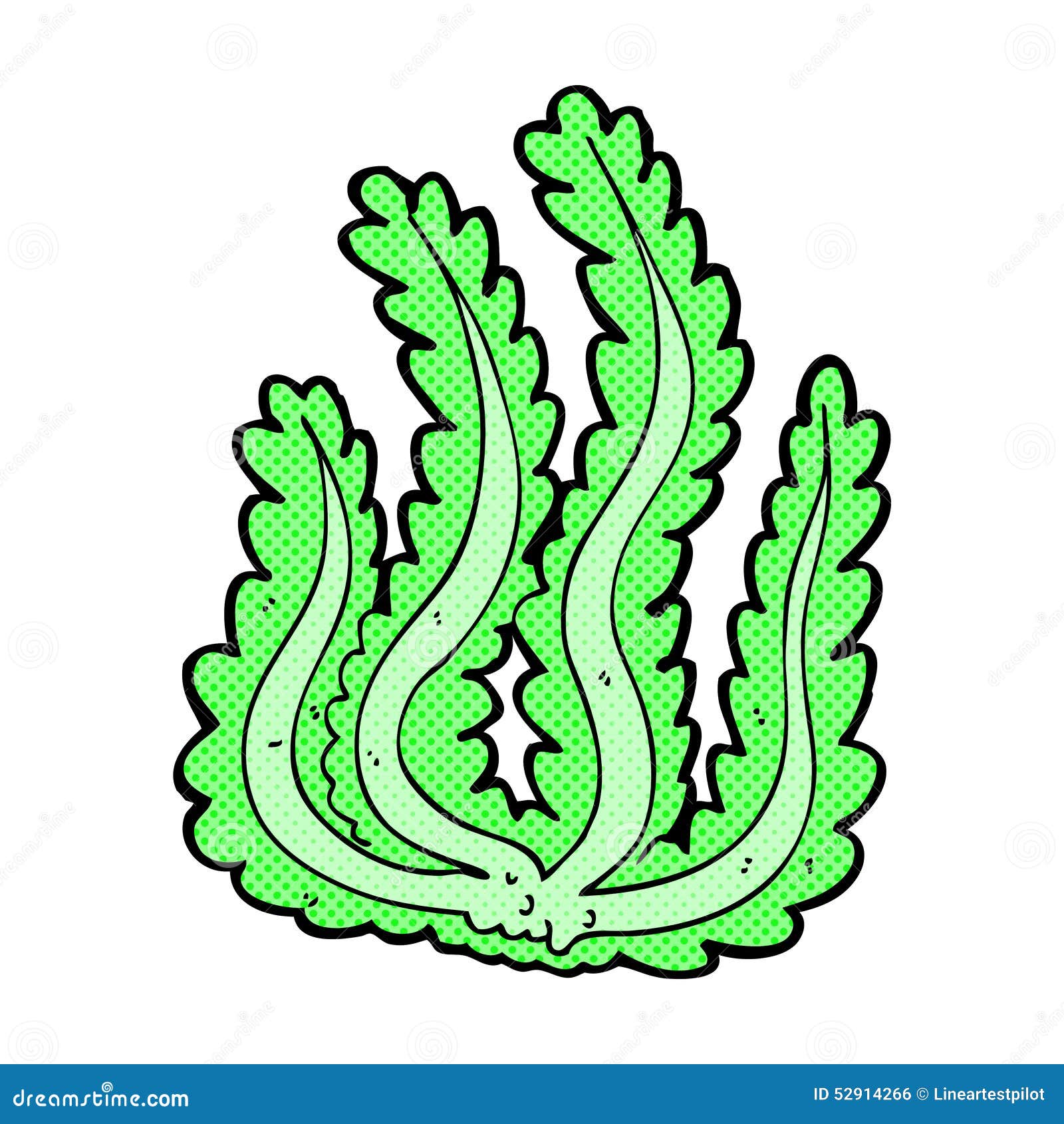 Cartoon Seaweed Isolated On White Background. Beautiful Coral. Vector ...