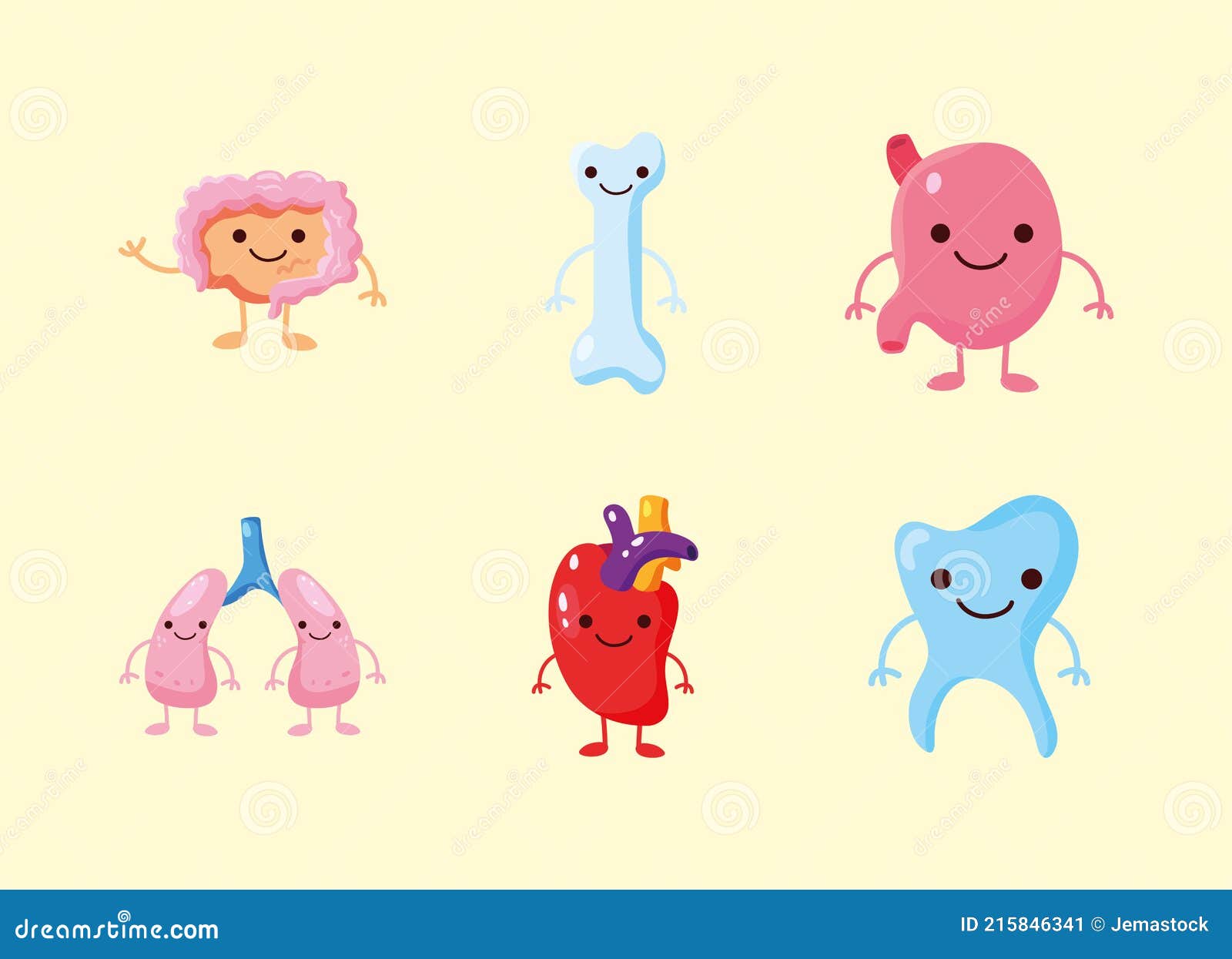 Comic six organs stock vector. Illustration of anatomy - 215846341