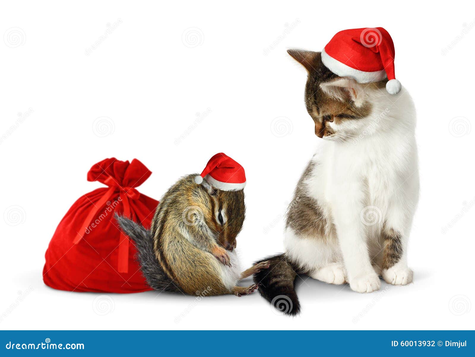 Comic Xmas Pets, Funny Chipmunk and Cat with Santa Hat and Sack Stock ...