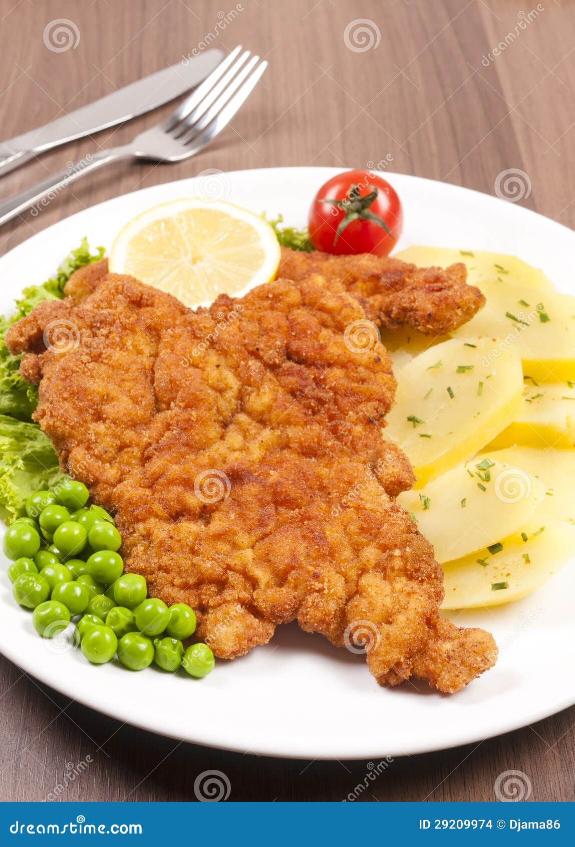 Comida austríaca foto de archivo. Imagen de pollo, cena - 29209974