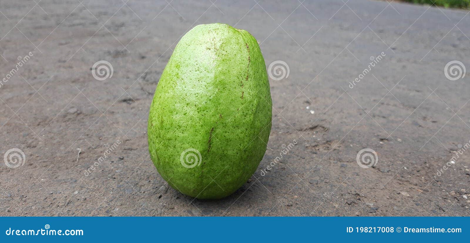 Comida Comum De Goiaba Verde Foto de Stock - Imagem de citrino, nave ...