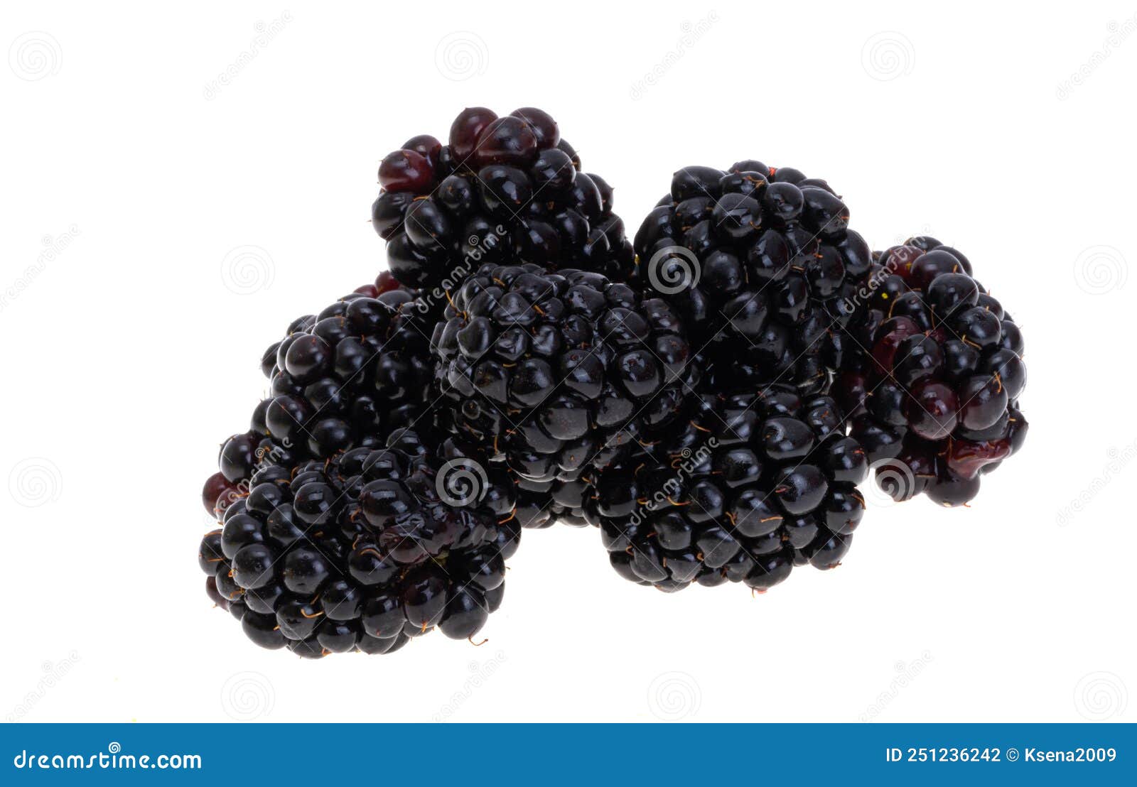 Comida Cruda De Morada Aislada Foto de archivo - Imagen de verano ...