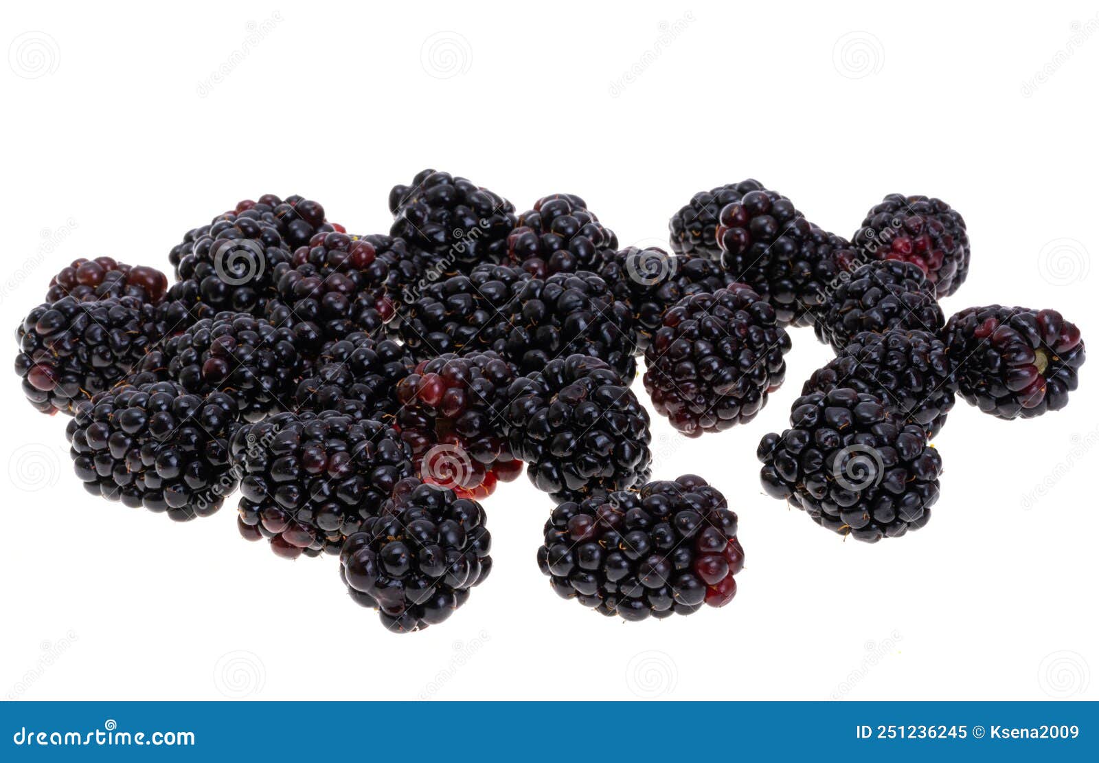 Comida Cruda De Morada Aislada Imagen de archivo - Imagen de grupo ...