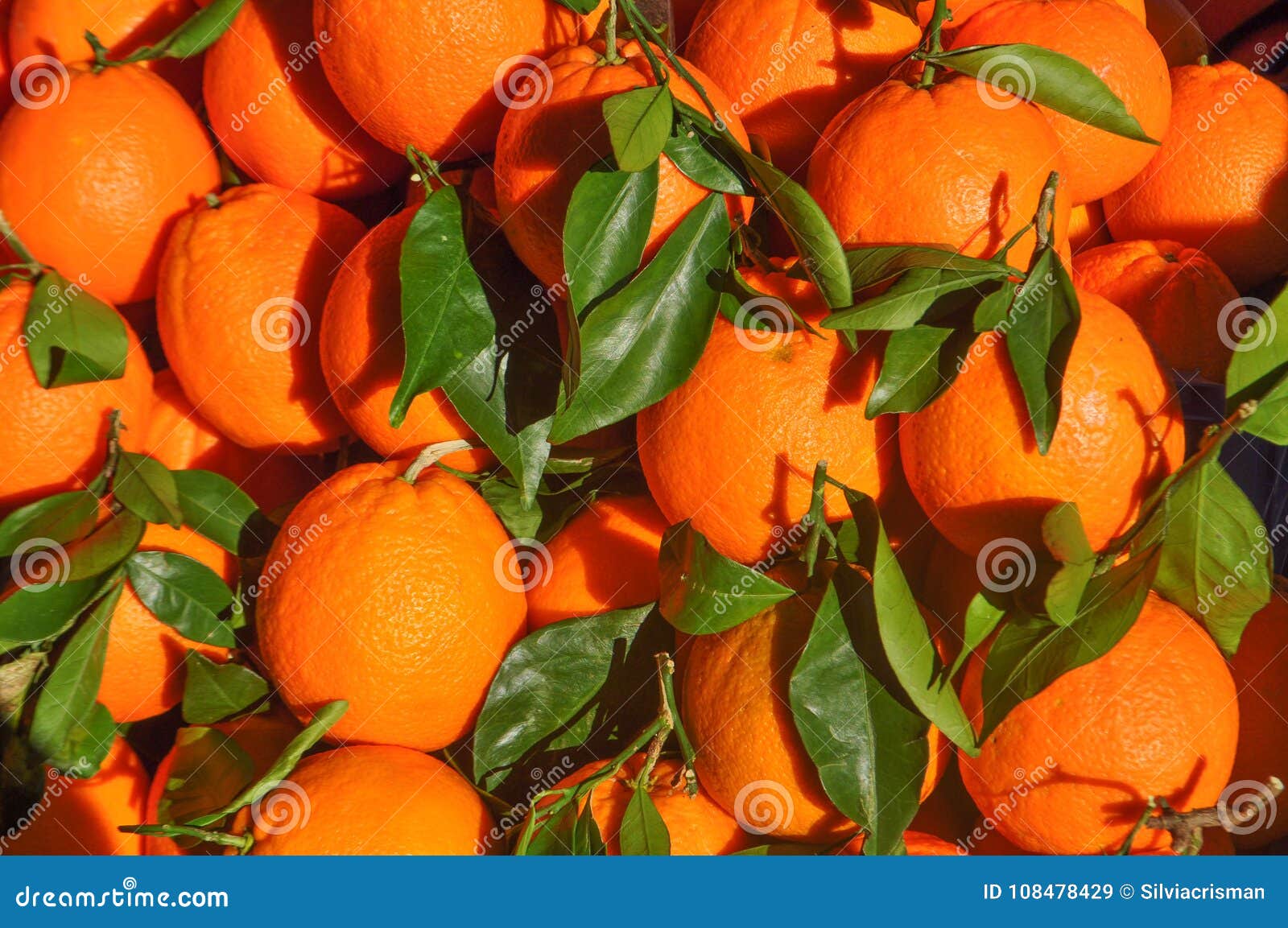 Comida De La Fruta De La Mandarina Imagen de archivo - Imagen de ...