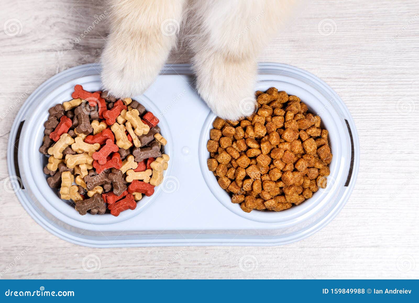 Comida De Mascota Con Patas De Perro De Pomerania Foto de archivo ...