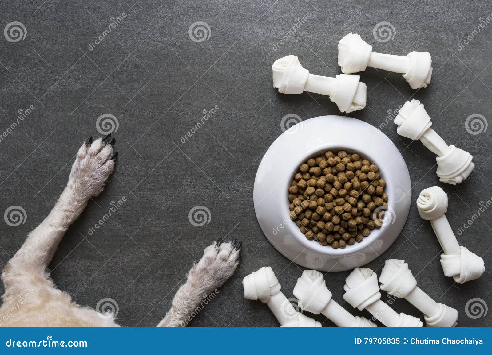 Comida De Perro Y Pata Del Perro Imagen de archivo - Imagen de alimento ...