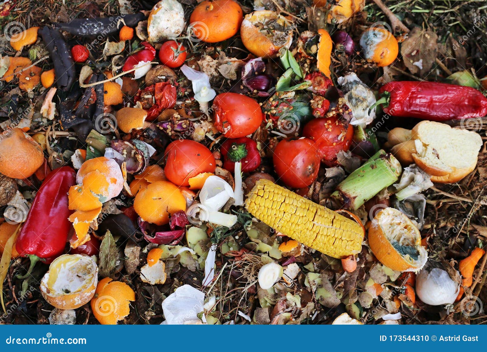 Comida Descartada E Estragada Num Monte De Lixo Foto de Stock - Imagem ...