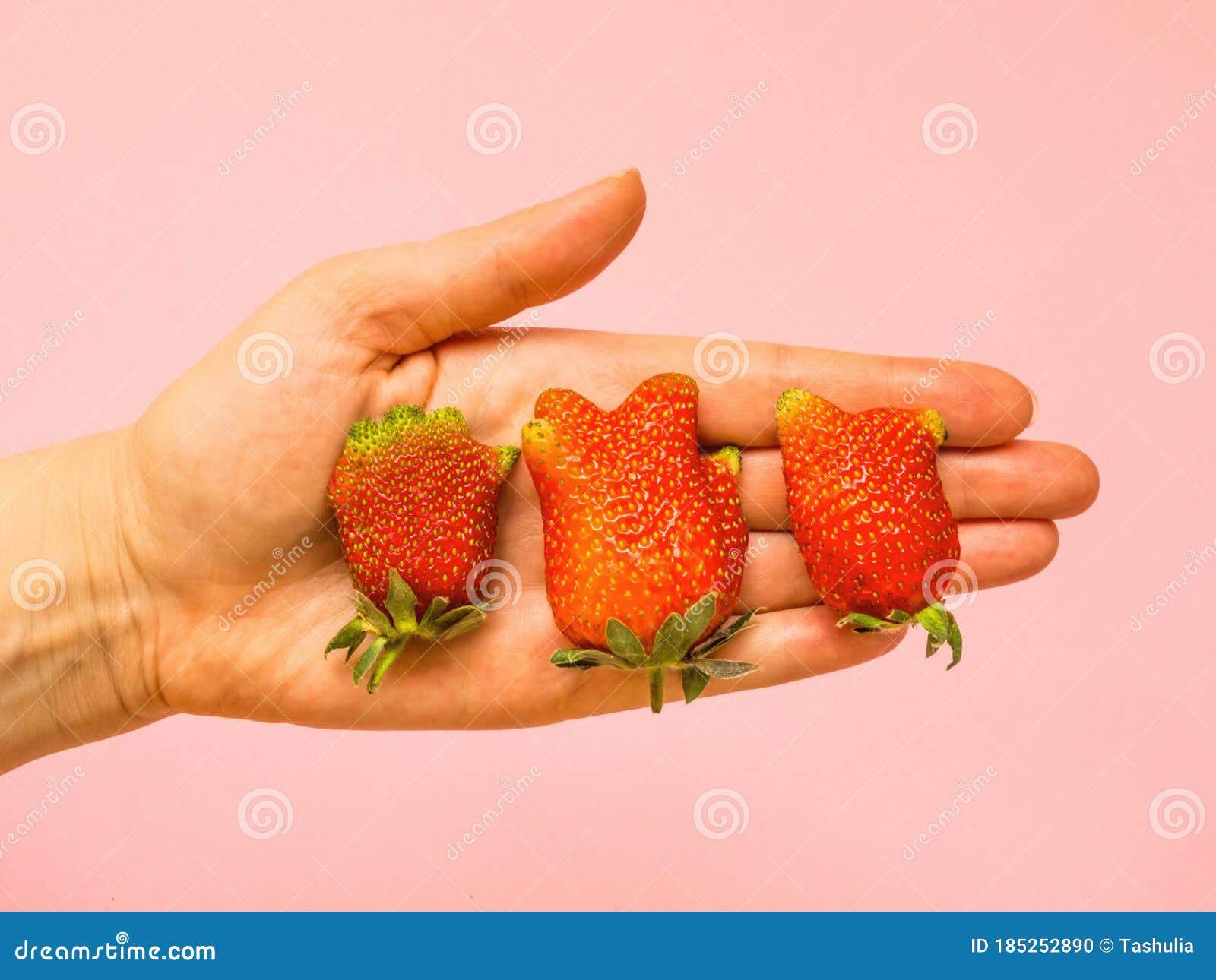 Comida Fea : Fresa Inusual En Manos De Una Mujer Foto de archivo ...