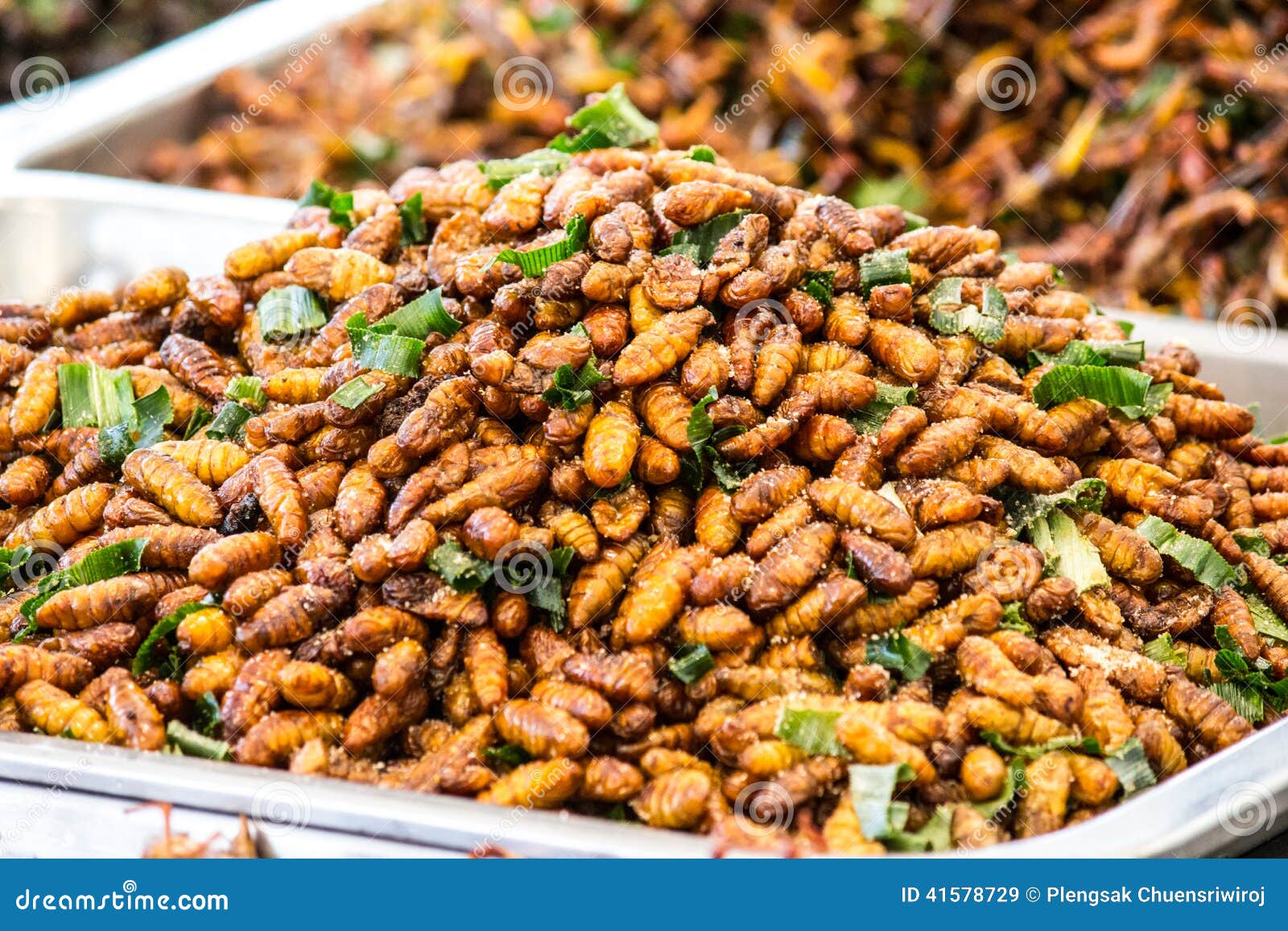 Comida frita insecto imagen de archivo. Imagen de tailandia - 41578729