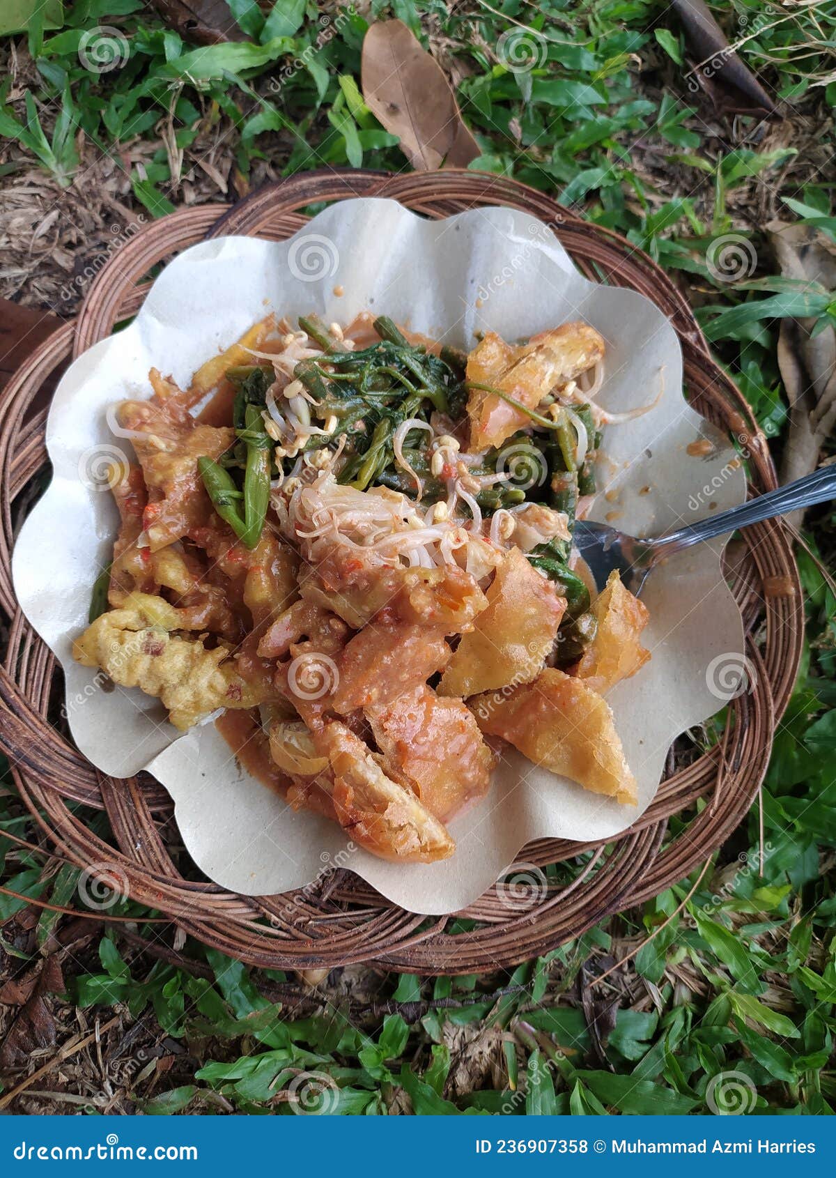 Comida indonesia lindo foto de archivo. Imagen de plato - 236907358