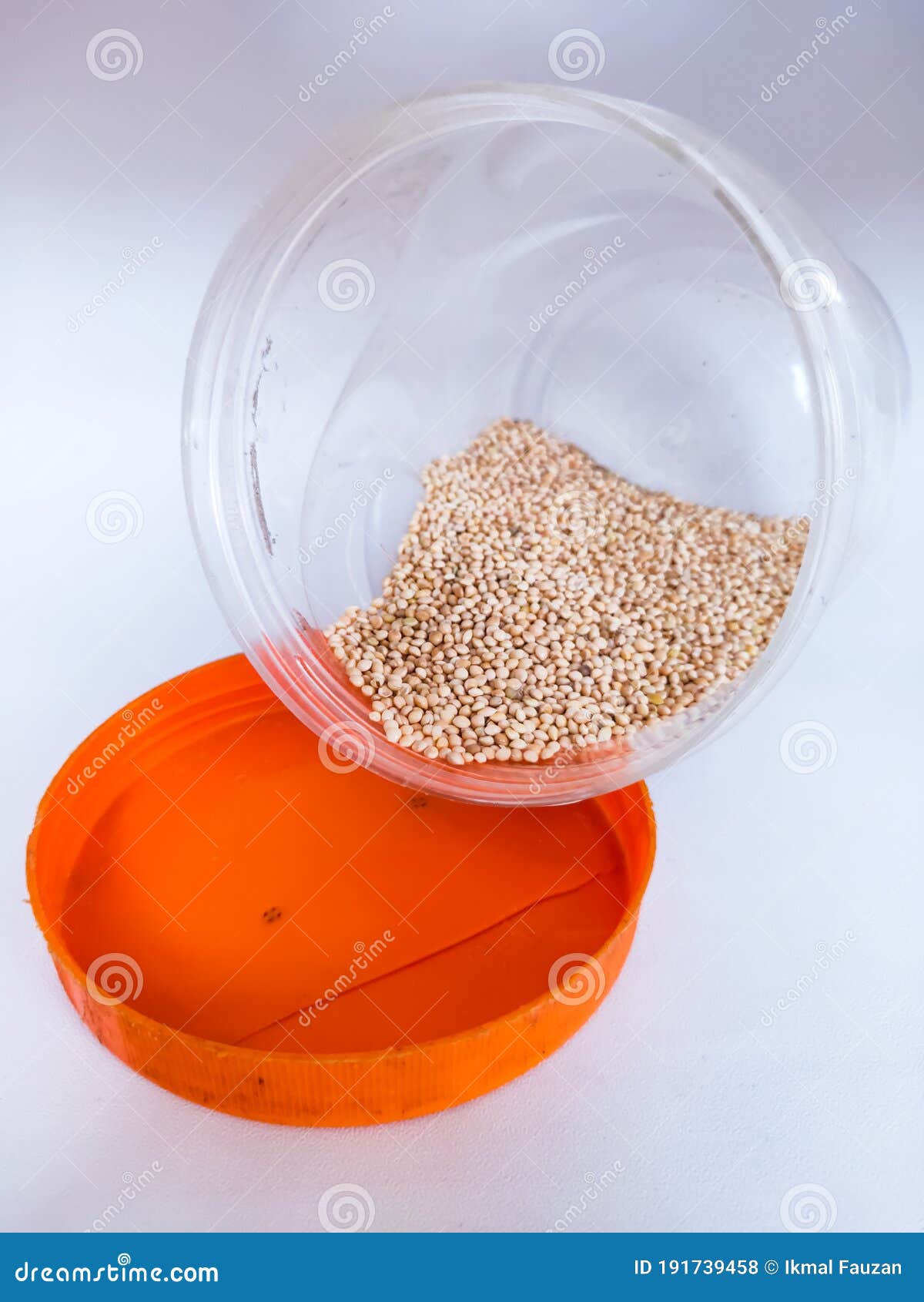 Comida Para Aves Aislada En Un Fondo Blanco Foto de archivo - Imagen de ...