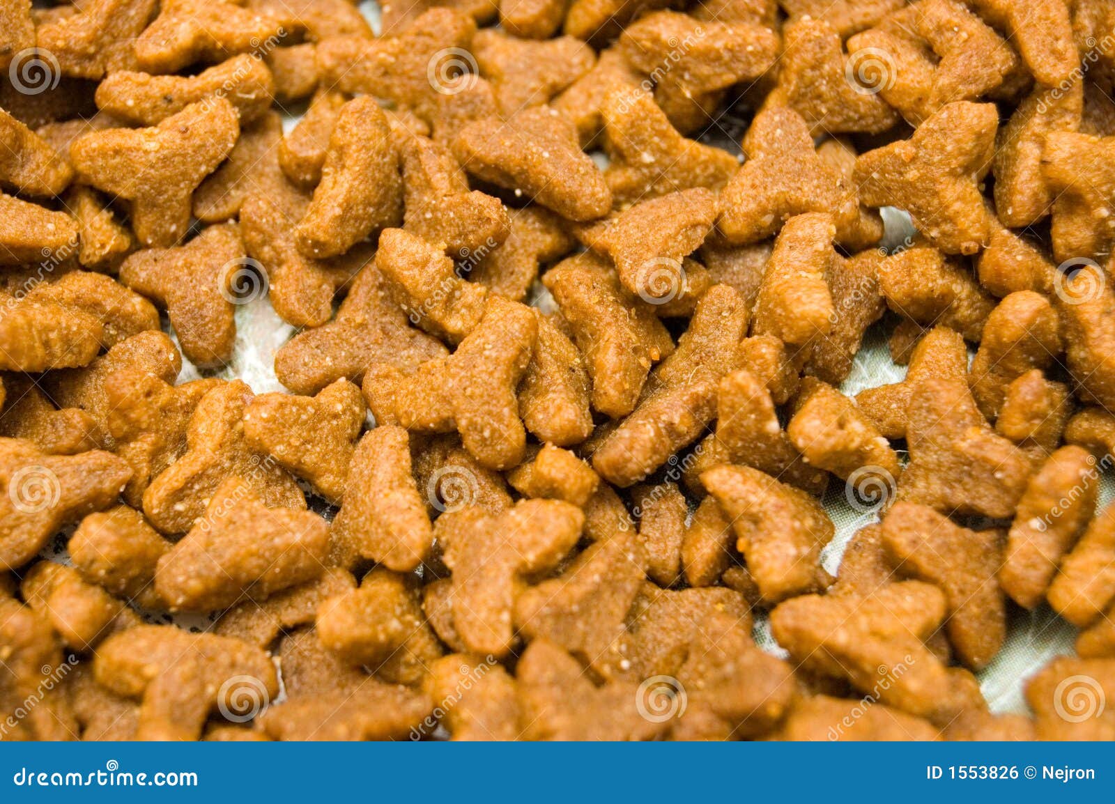 Comida para gatos foto de archivo. Imagen de almacén, gatito - 1553826