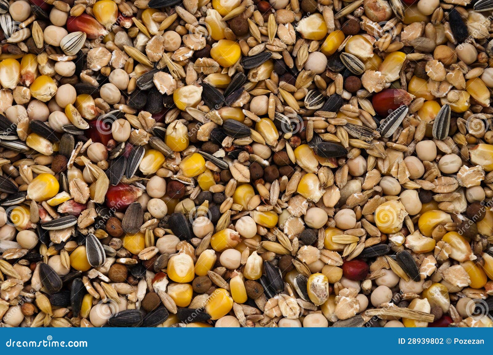 Comida para los pájaros foto de archivo. Imagen de rojo - 28939802