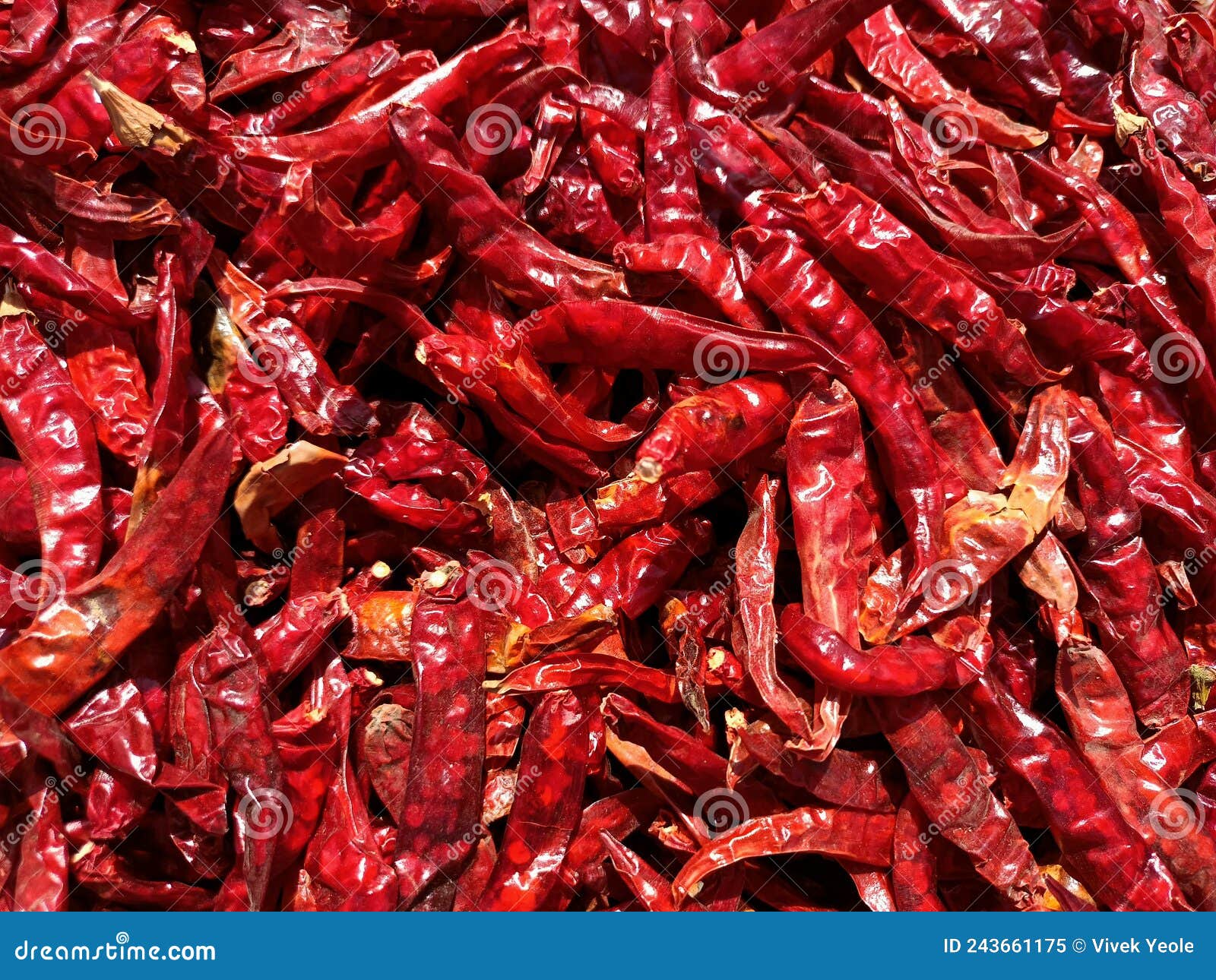 Comida Picante De Chile Rojo Indio Imagen de archivo - Imagen de comer ...