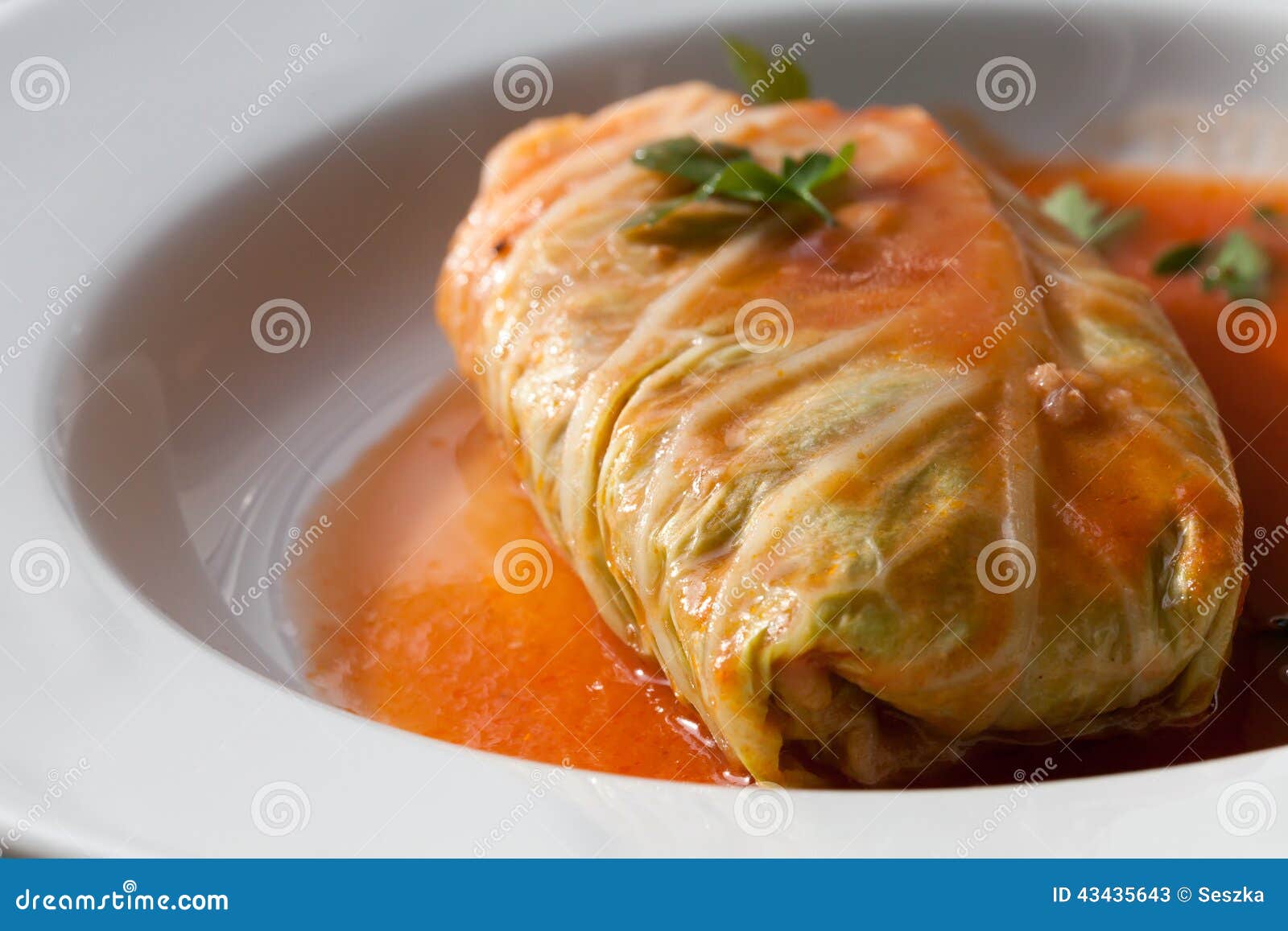 Comida polaca imagen de archivo. Imagen de carne, arroz - 43435643