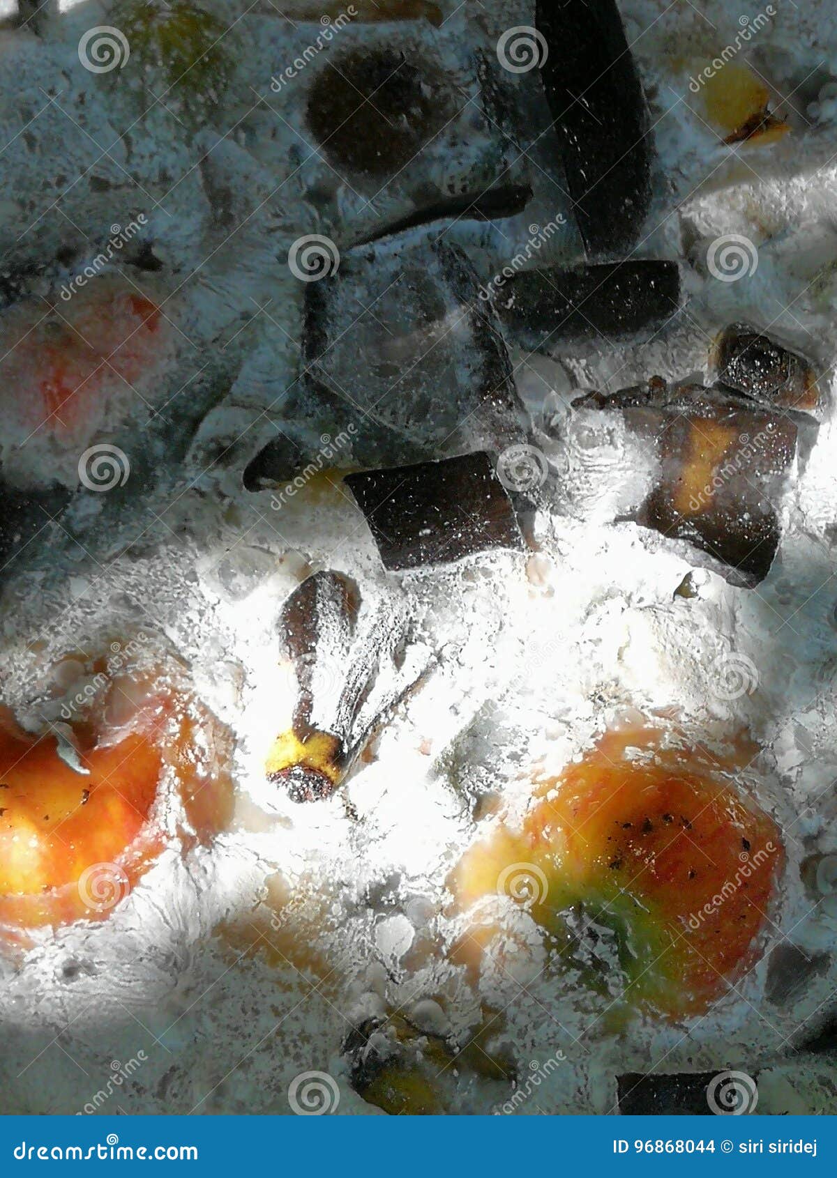 Comida Putrefacta, Hongos, Bacterias Foto de archivo - Imagen de ...