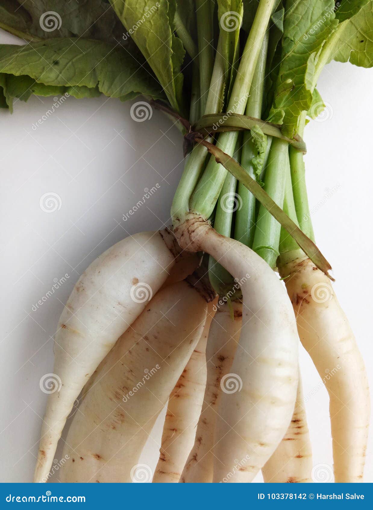 Comida Vegetal Sana Y Medicinal De Daikon Foto de archivo - Imagen de ...