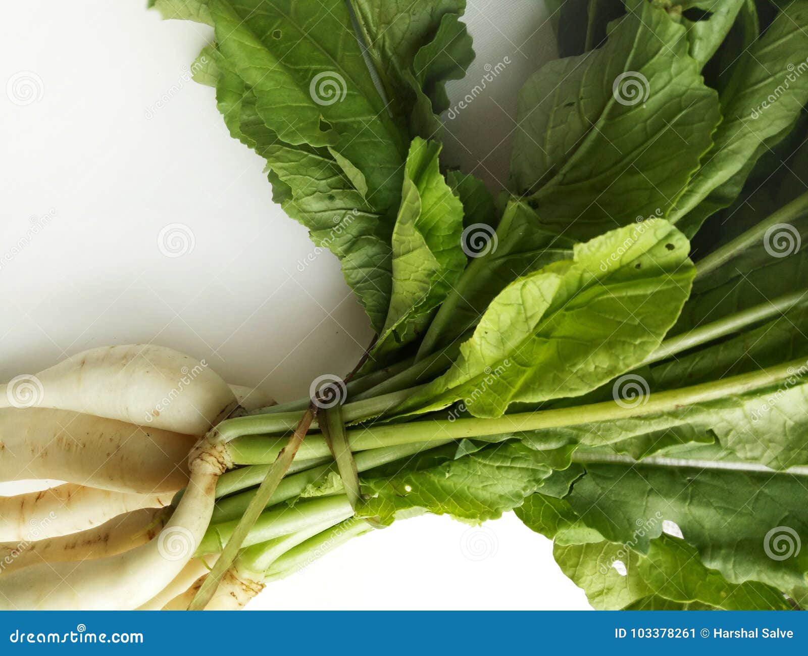 Comida Vegetal Sana Y Medicinal De Daikon Imagen de archivo - Imagen de ...