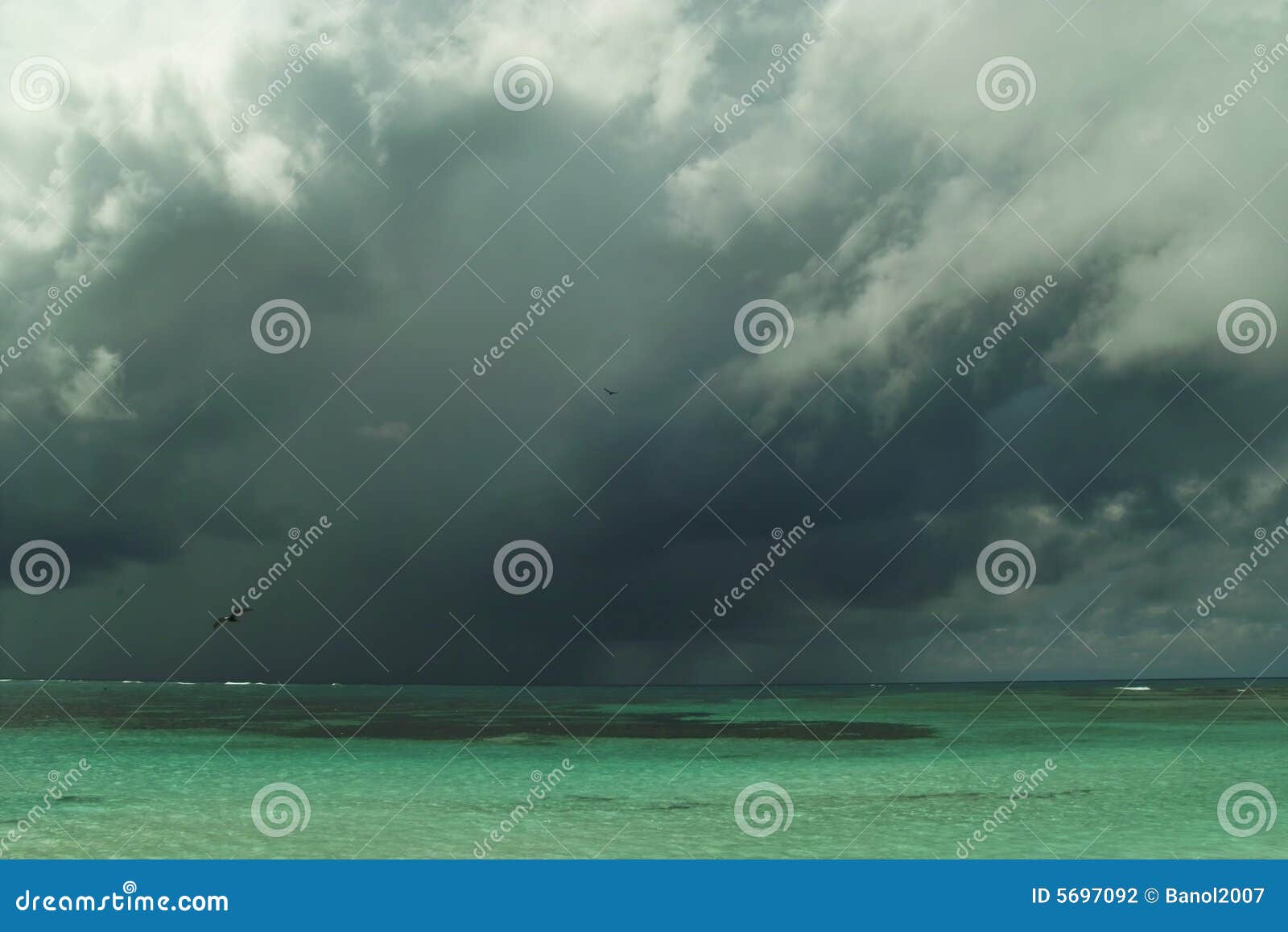 119 Bird Cyclone Stock Photos - Free & Royalty-Free Stock Photos from ...