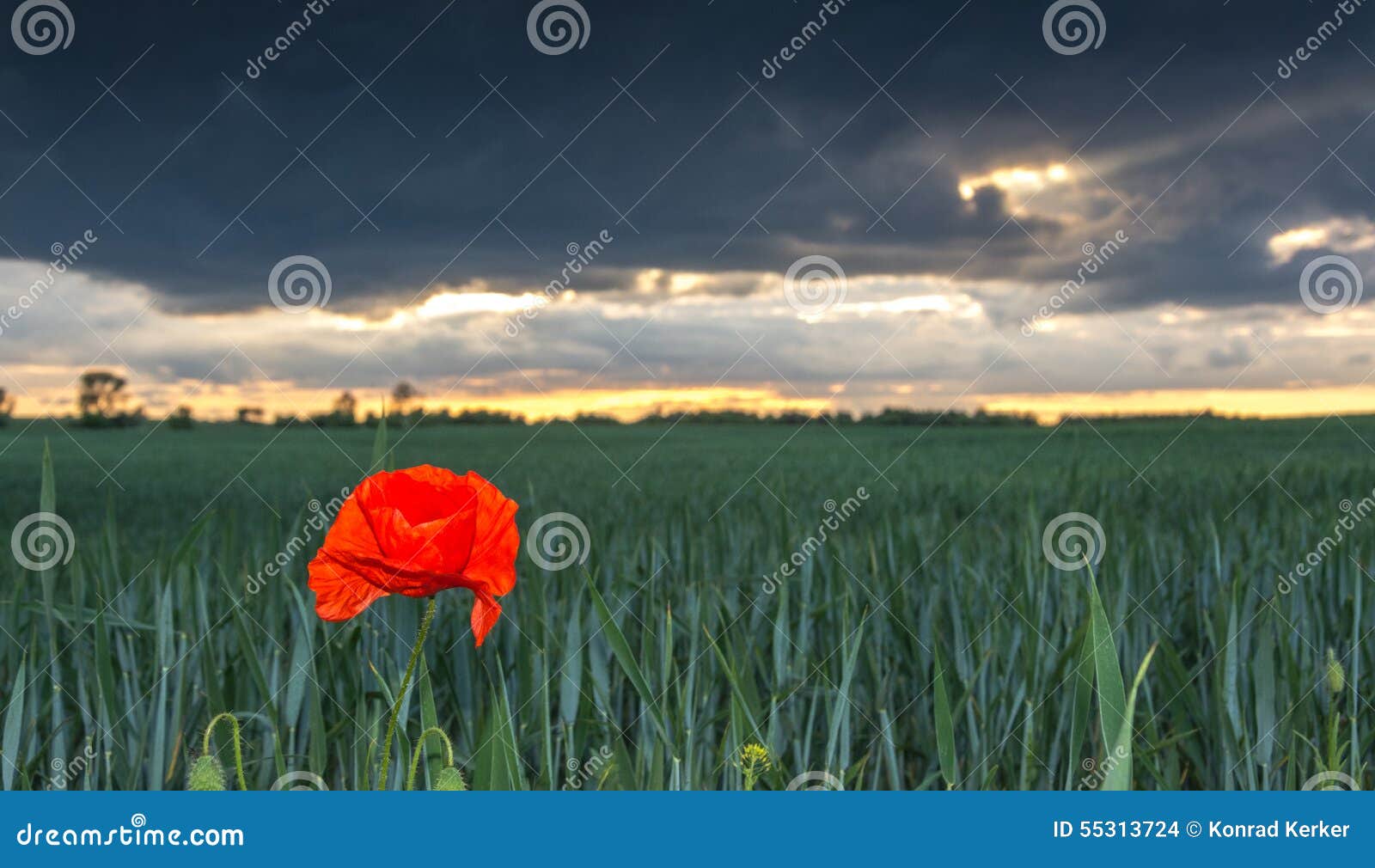 Coming Storm Over the Fields and Meadows Stock Photo - Image of stormy ...