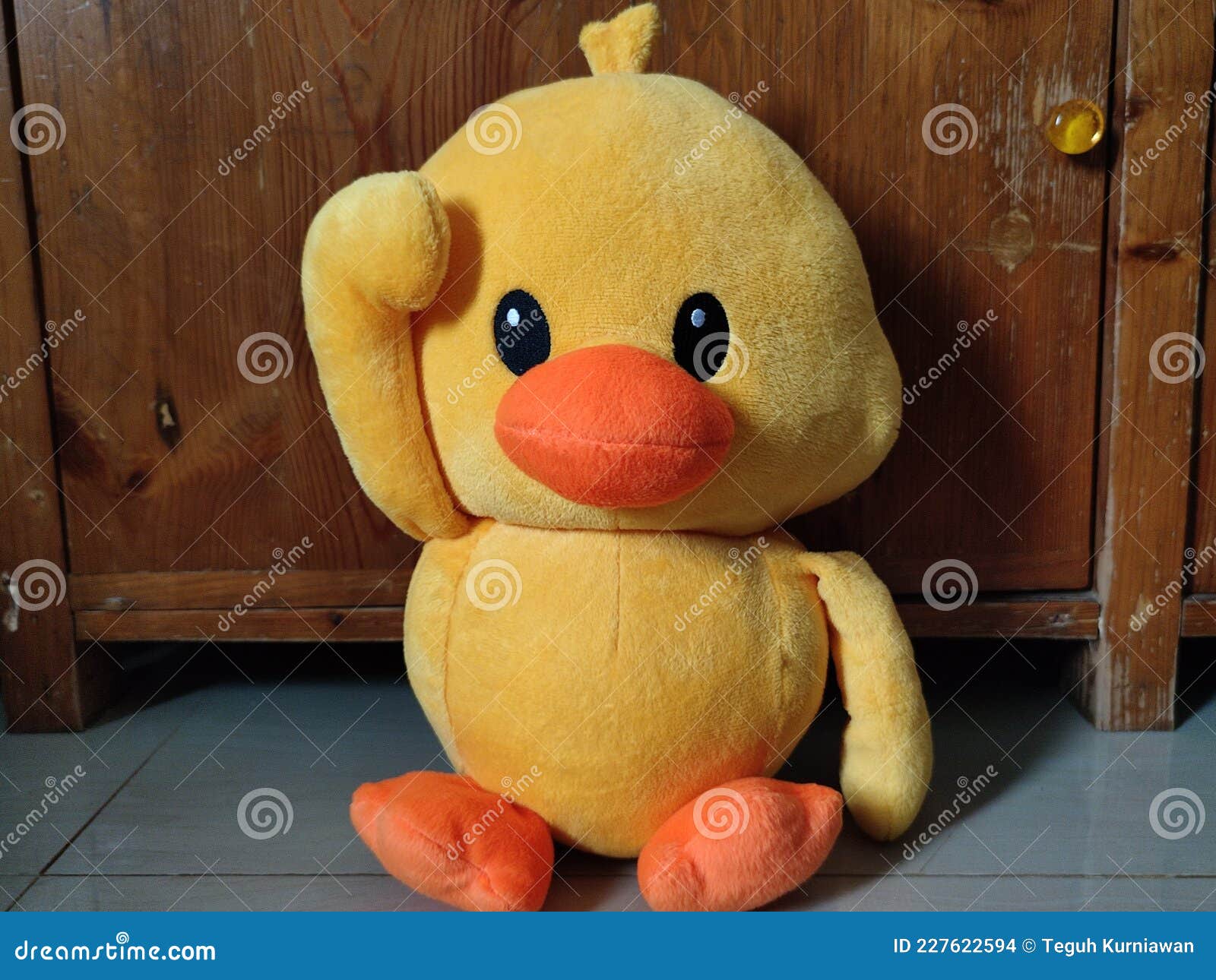 Comity Respect Ducks stock photo. Image of birds, respect - 227622594