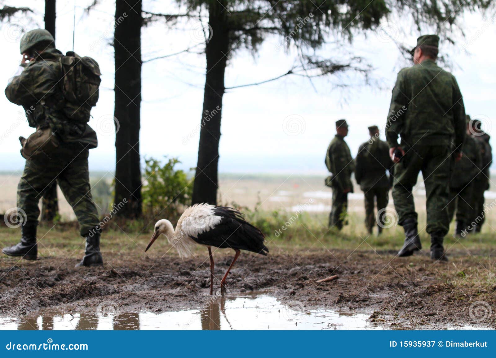 Command Post Exercises Airborne Division in Russia Editorial ...