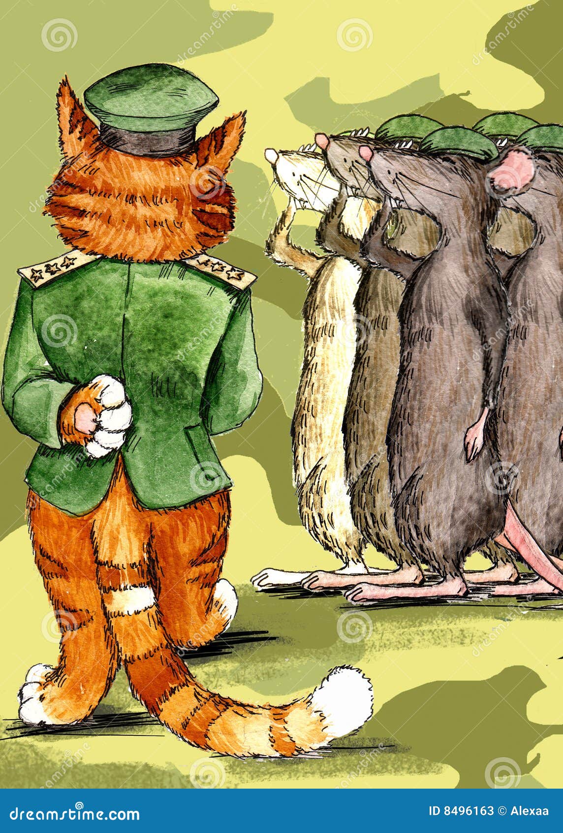 A commander-in-chief cat stock illustration. Illustration of baby - 8496163