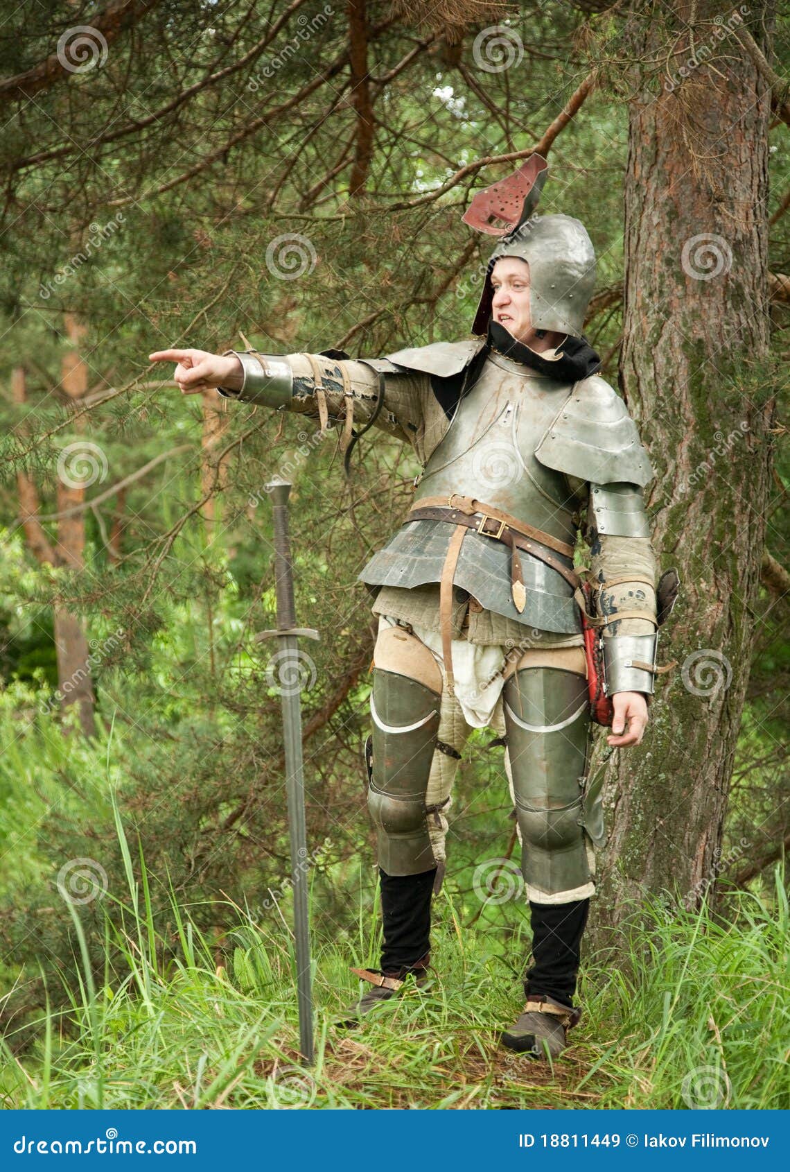 Commanding Knight stock image. Image of kirasa, knight - 18811449
