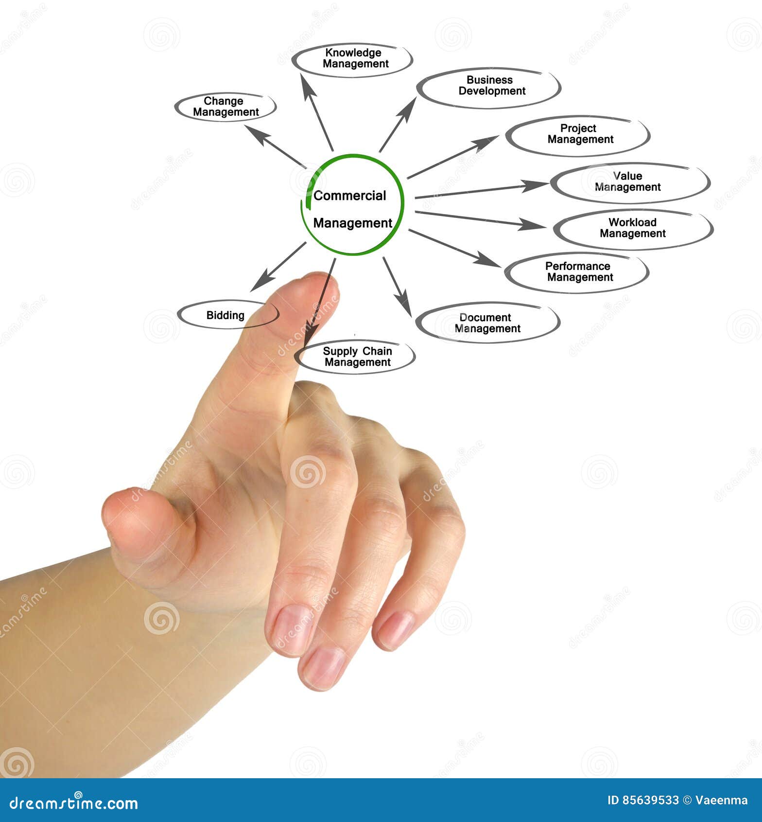 Commercial Management stock image. Image of chain, lecturer - 85639533