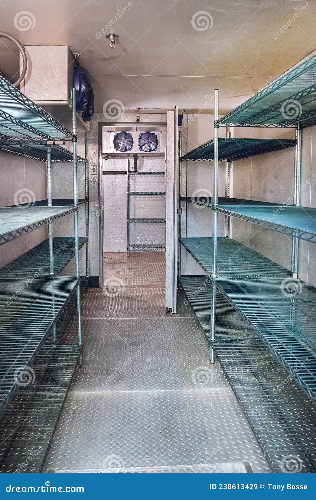 Commercial Walk-in Freezer stock image. Image of equipment - 230613429
