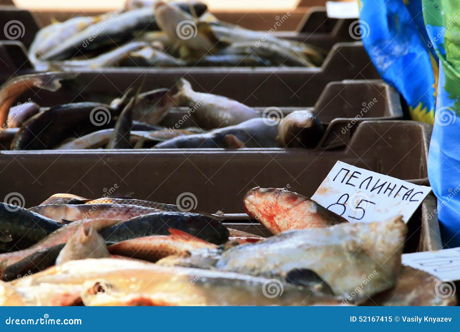 Commercio del pesce immagine stock. Immagine di commercio - 52167415