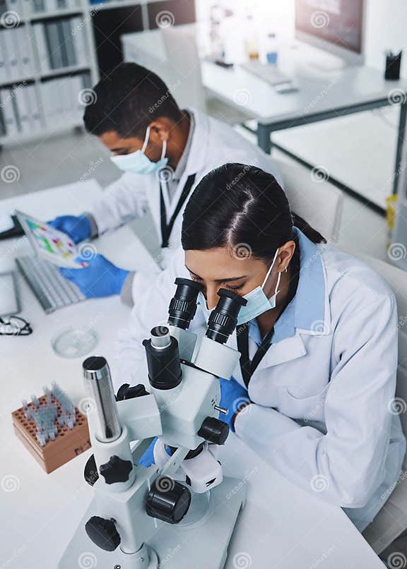 Committed To Finding a Cure. Two Young Researchers Working in a ...