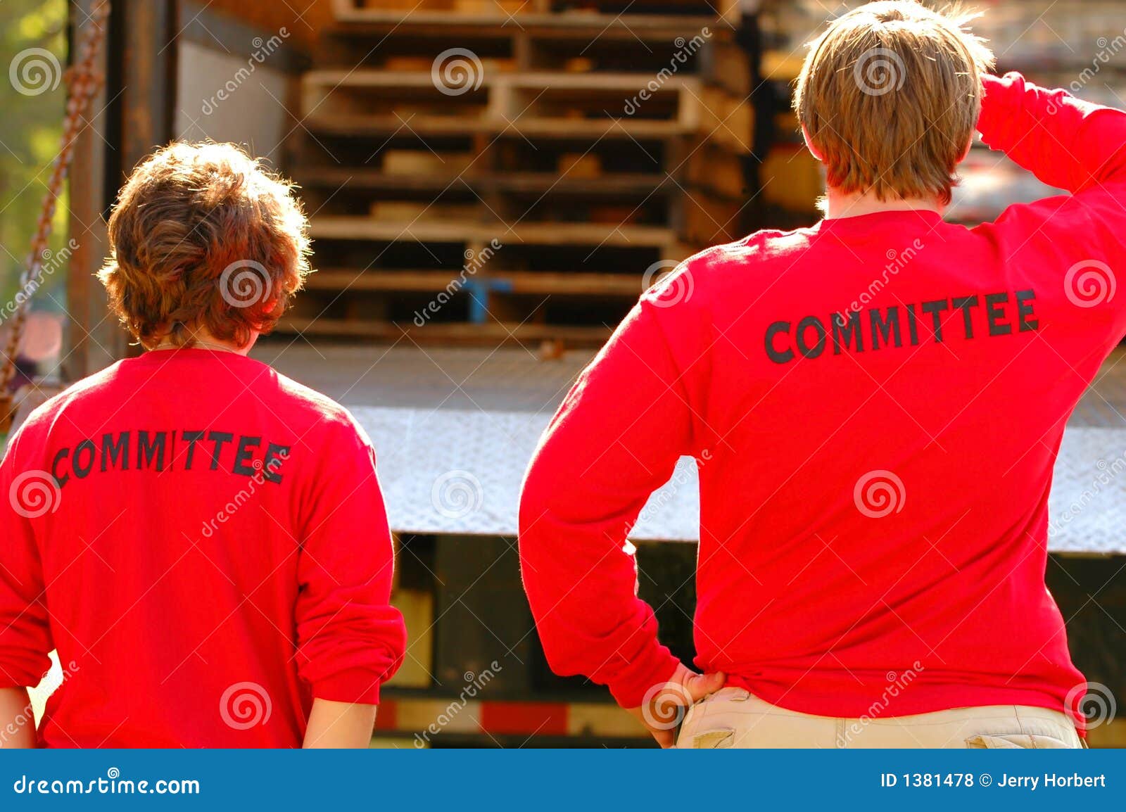 Committee Members in Action Stock Photo - Image of young, delegate: 1381478
