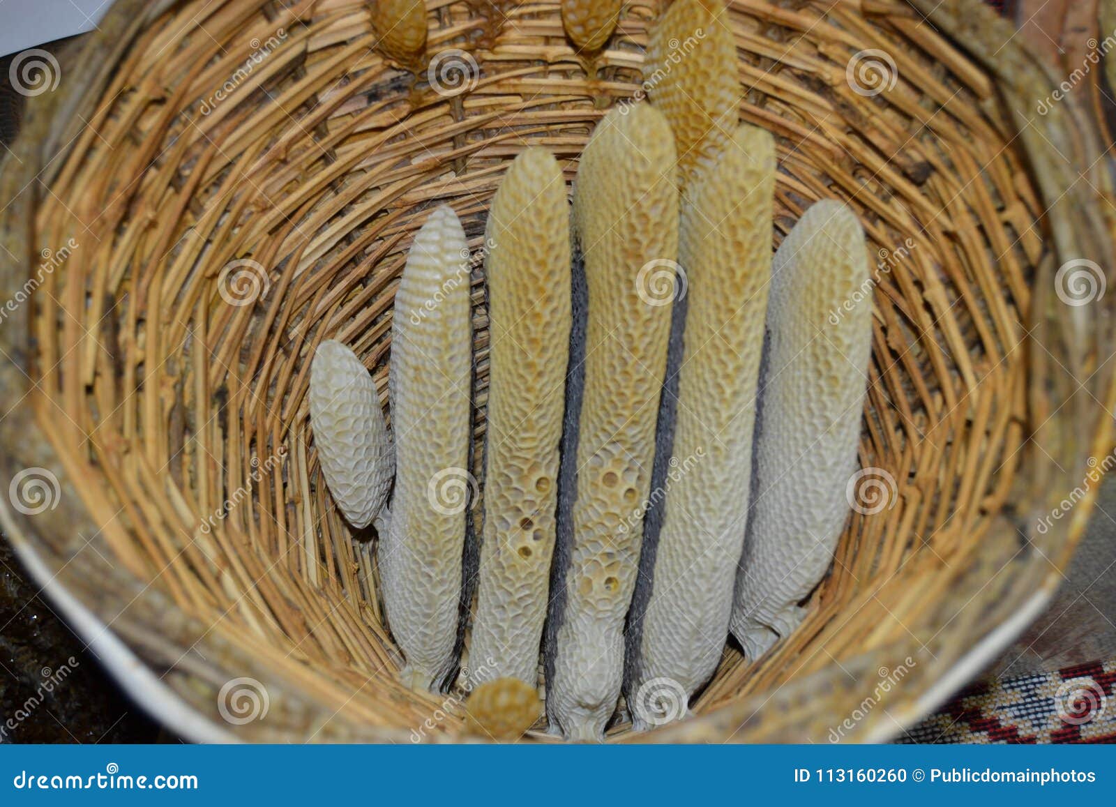 Commodity, Whole Grain Picture. Image: 113160260