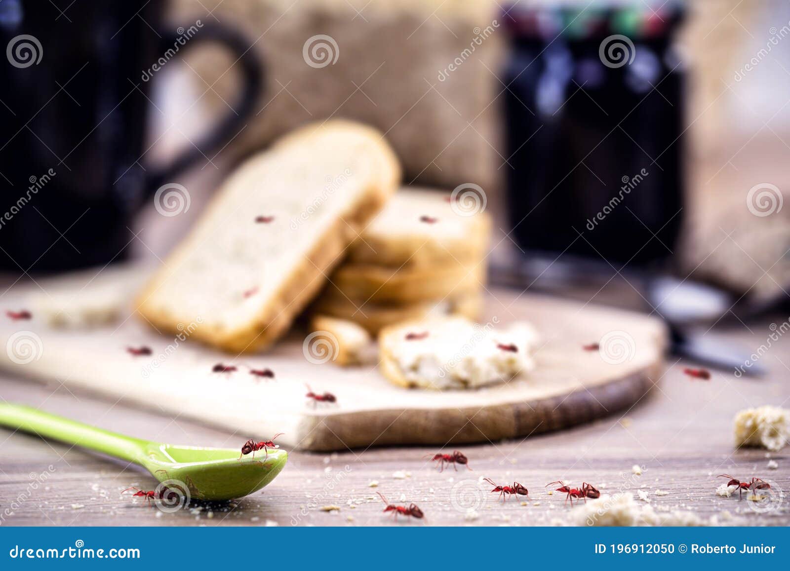 Common Ant on the Kitchen Table, Close To Food, Need for Pest Control ...