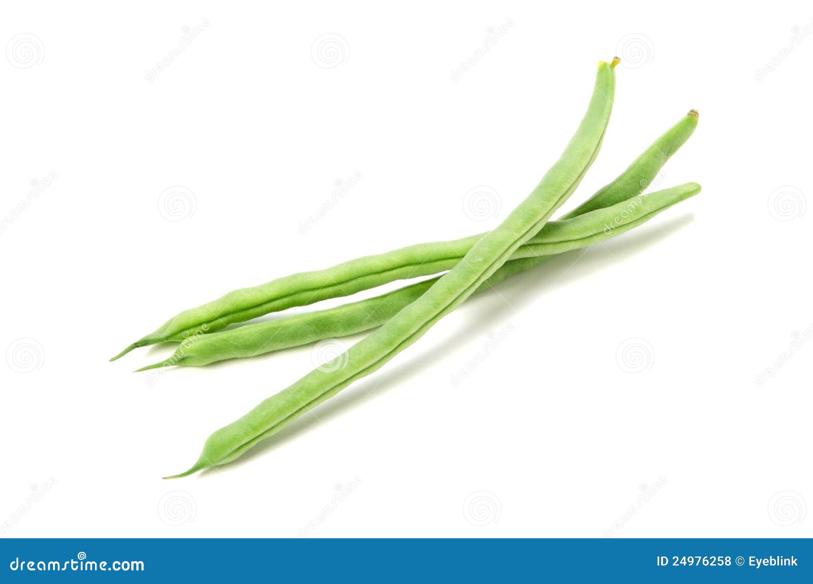 Common bean stock photo. Image of life, fagiolini, food - 24976258